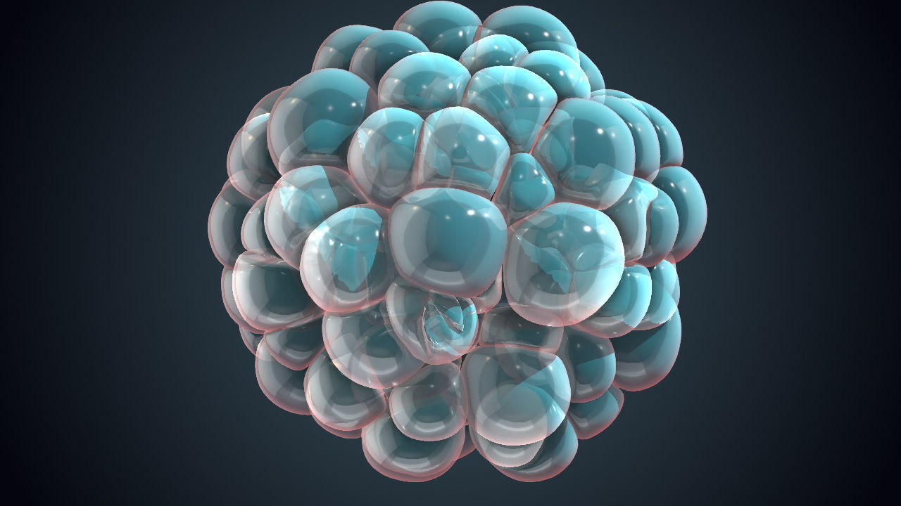 Cell Division Spherical Animated 3D Sequence 3D model animated | CGTrader