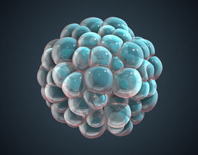 Animated Cell 3D Models | CGTrader