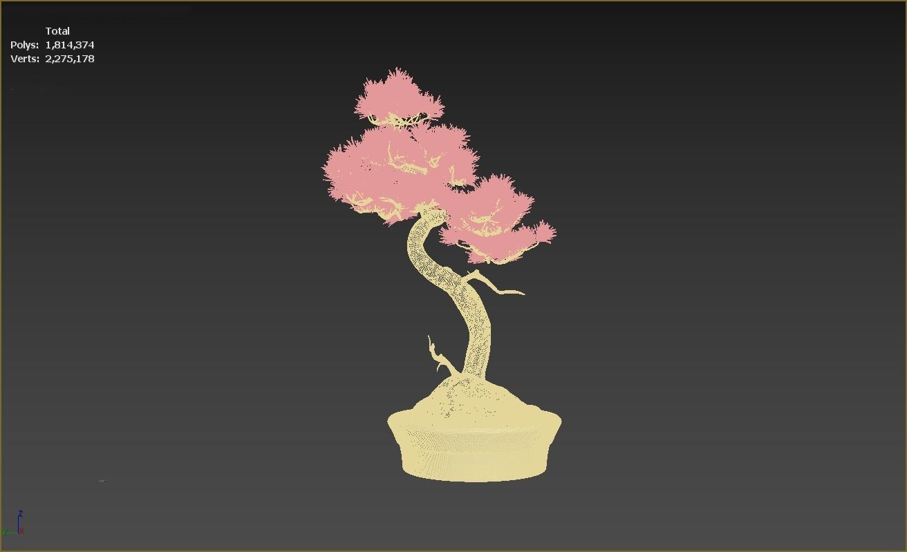 Cherry Blossom or sakura 3 Size Tree 3D model | CGTrader