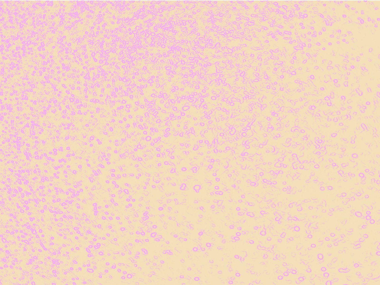 3D Stickman Model plus 10 Human Skin PBR Textures Photo-Based 3D model ...