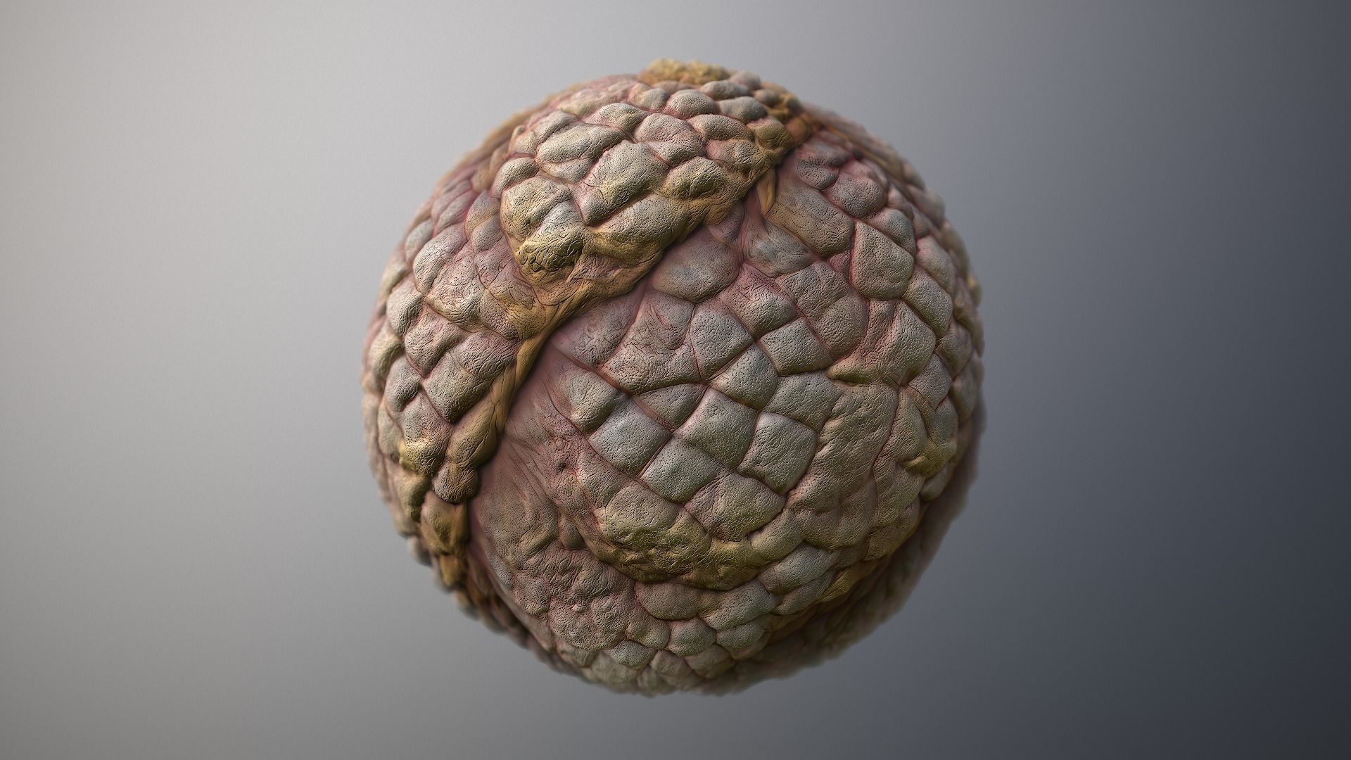 Material Skin Monster 52 Seamless PBR Texture Texture | CGTrader