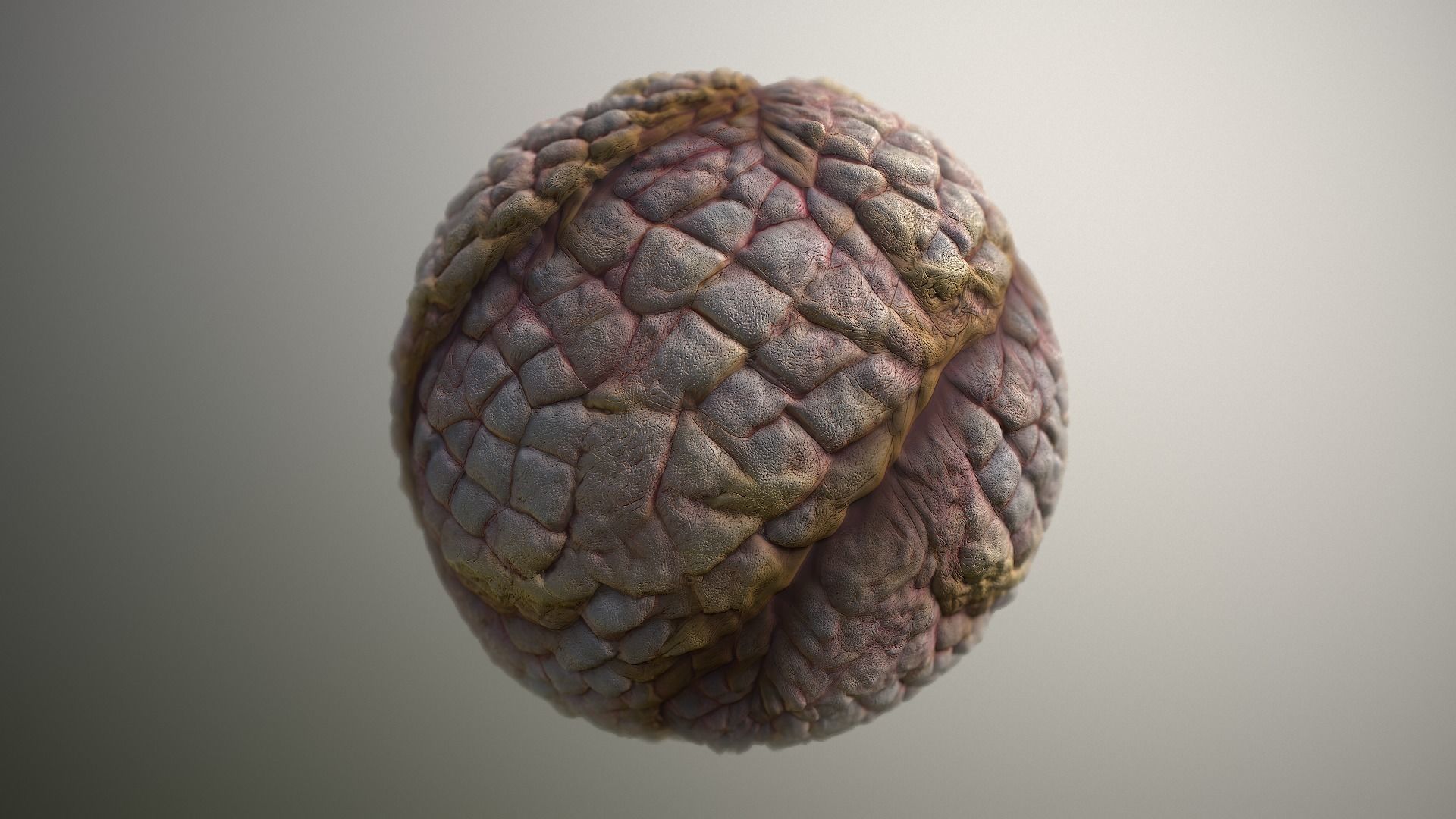 Material Skin Monster 52 Seamless PBR Texture Texture | CGTrader