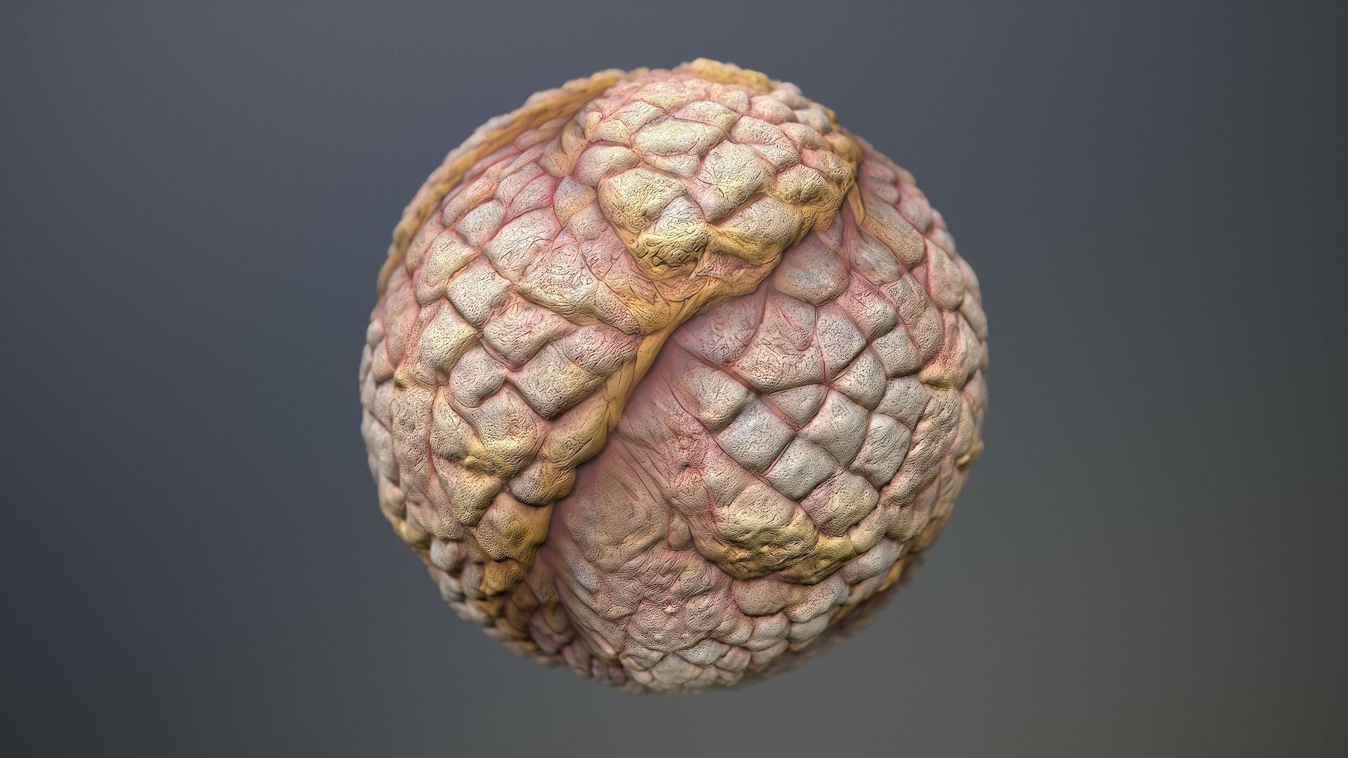 Material Skin Monster 52 Seamless PBR Texture Texture | CGTrader