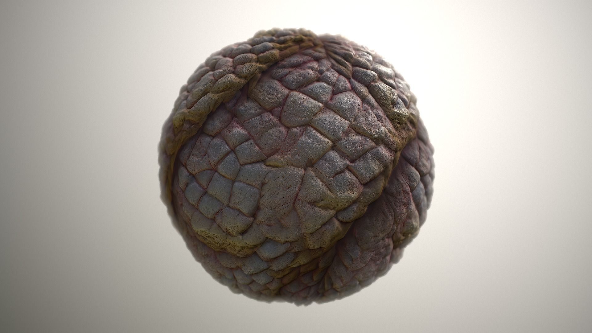 Material Skin Monster 52 Seamless PBR Texture Texture | CGTrader