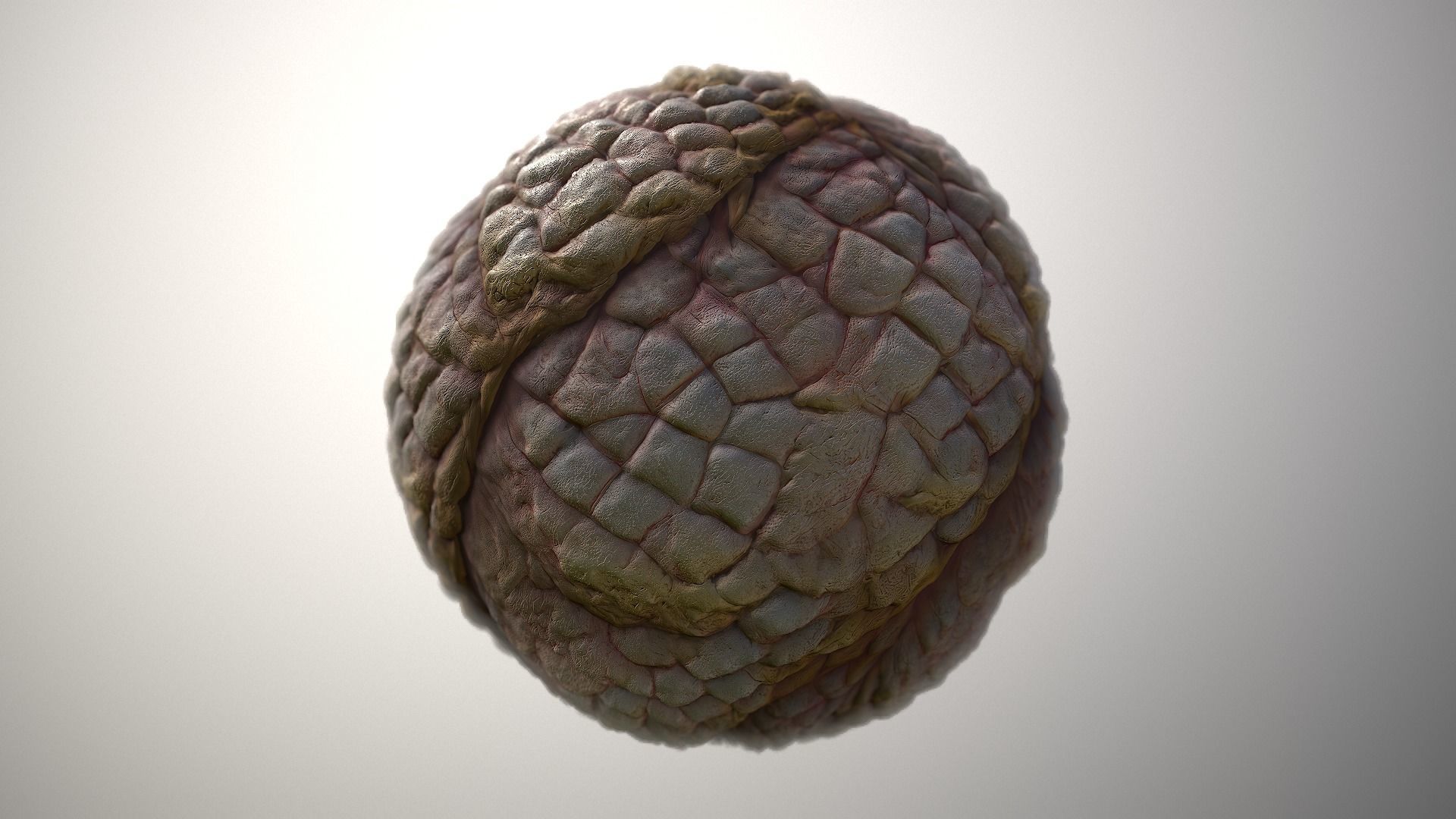 Material Skin Monster 52 Seamless PBR Texture Texture | CGTrader