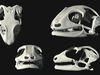 Gecko Skull - CNC and 3D model 3D printable | CGTrader