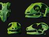 Gecko Skull - CNC and 3D model 3D printable | CGTrader