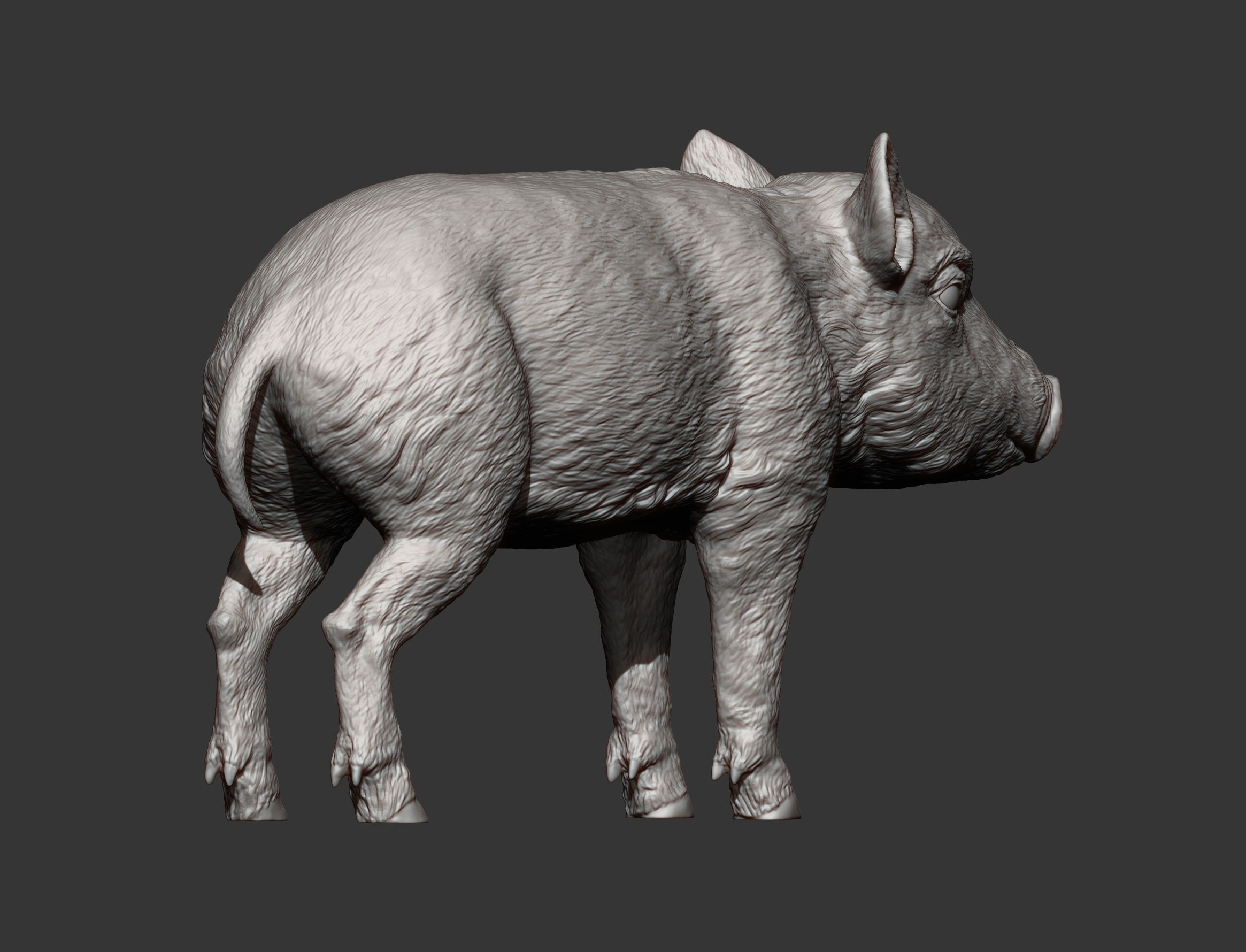 Small boar 3D model 3D printable | CGTrader