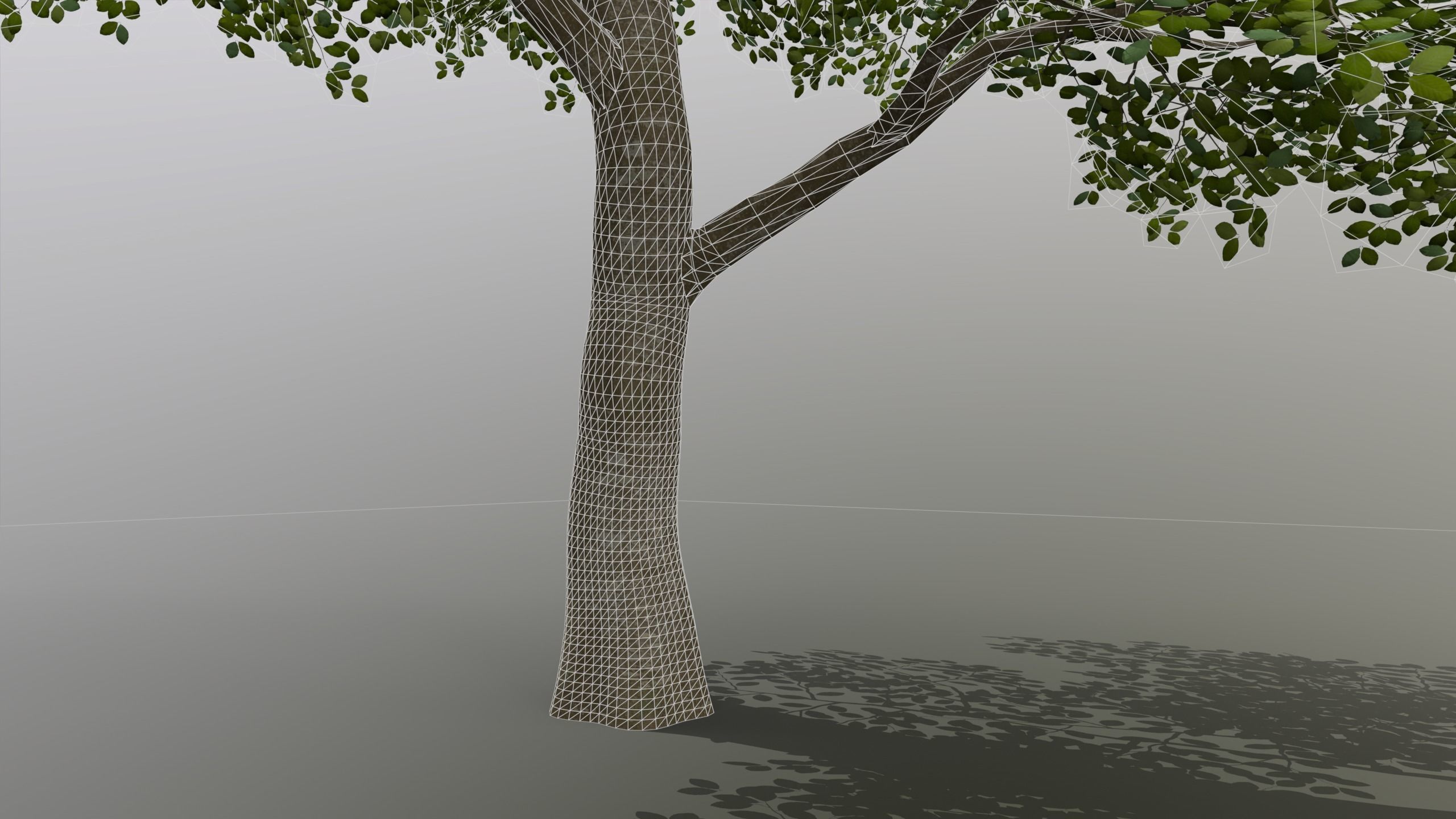 3D model Low Poly Beech Tree VR / AR / low-poly | CGTrader