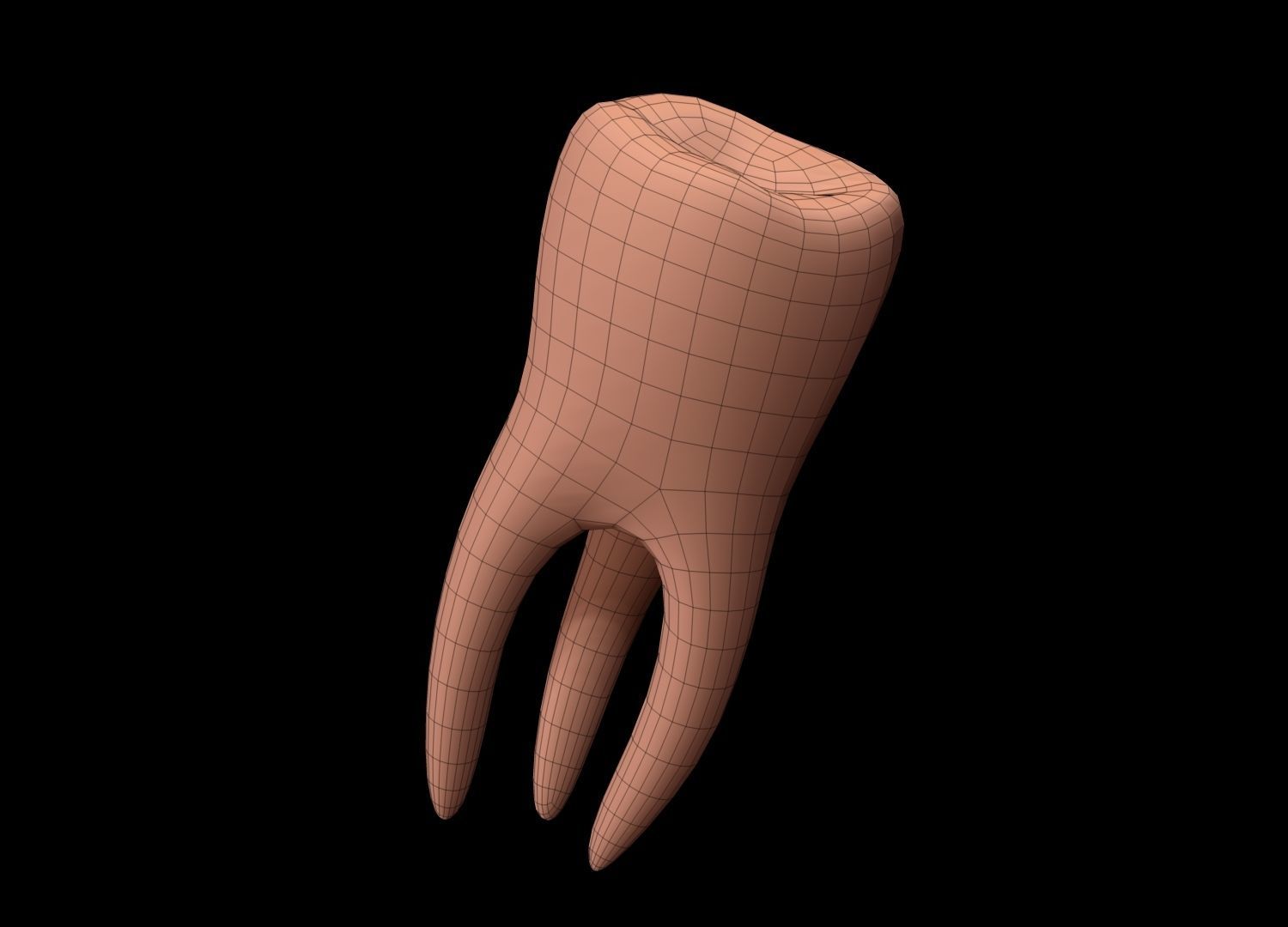 Tooth 3D model | CGTrader