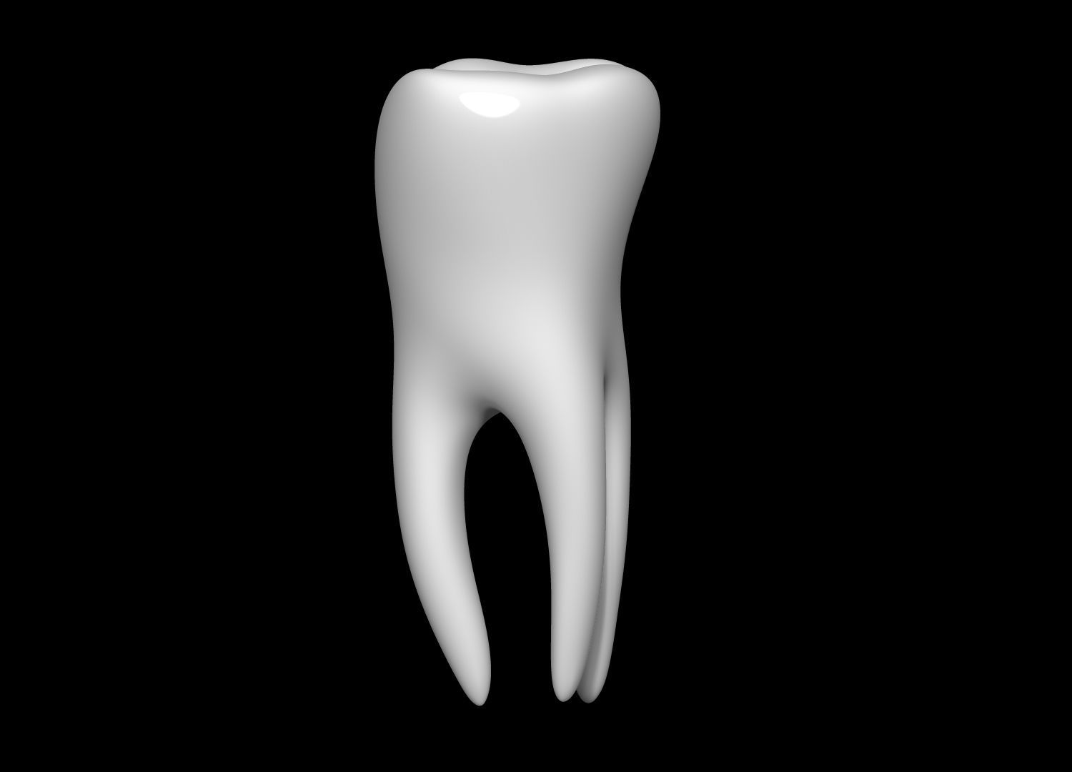 Tooth 3D model | CGTrader