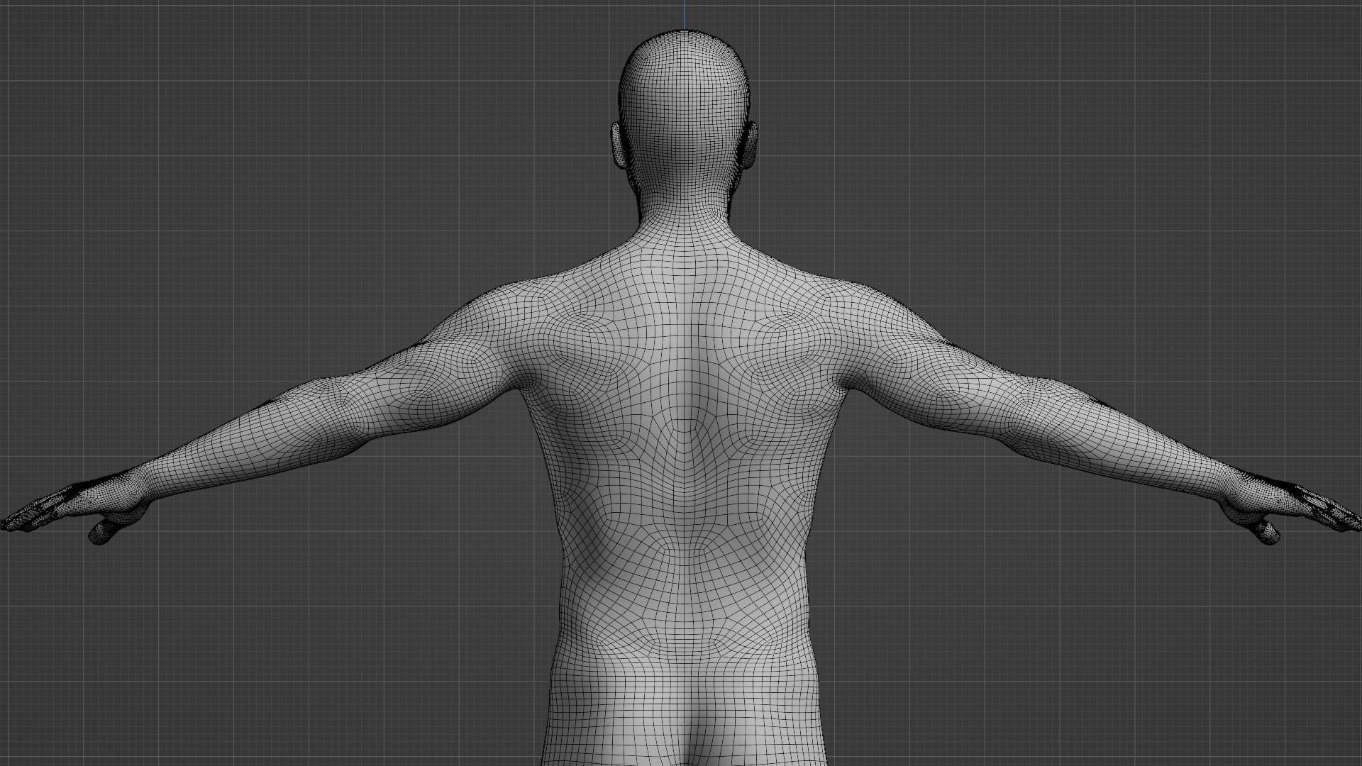 Stylized Human Male Character with Perfect Anatomy 3D model | CGTrader