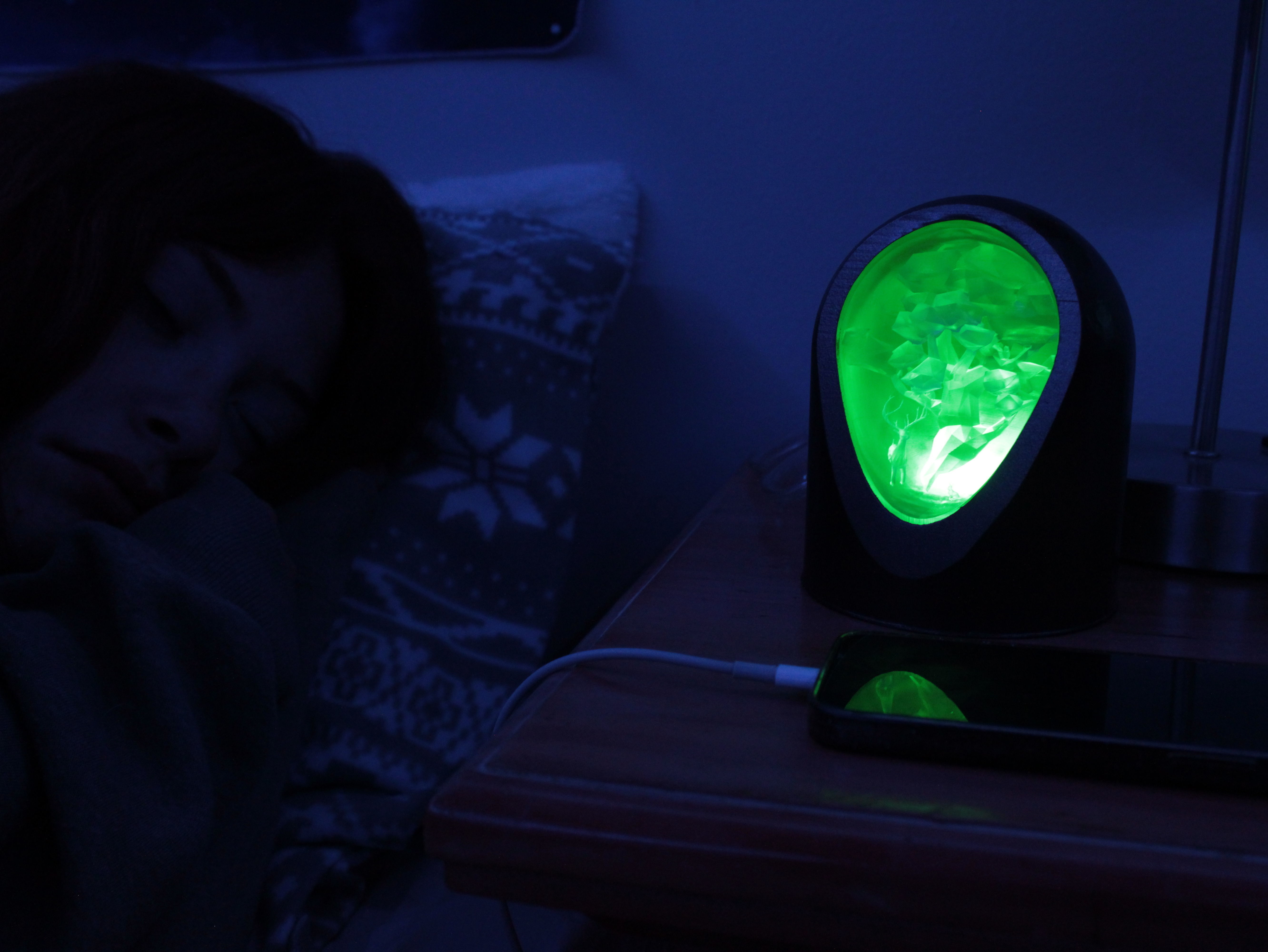 Low Poly Forest Critters - LED Light Up Diorama 3D model 3D printable ...