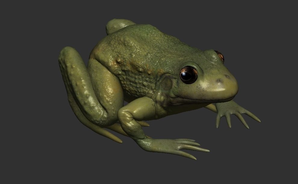 The Frog 3D model 3D printable | CGTrader