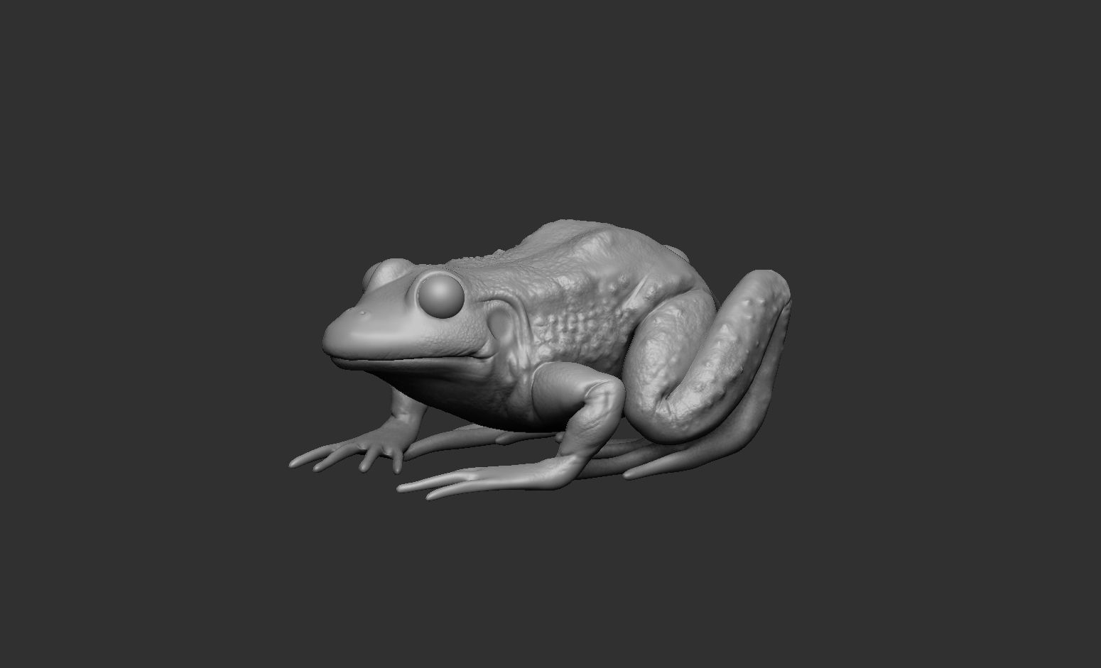 The Frog 3D model 3D printable | CGTrader