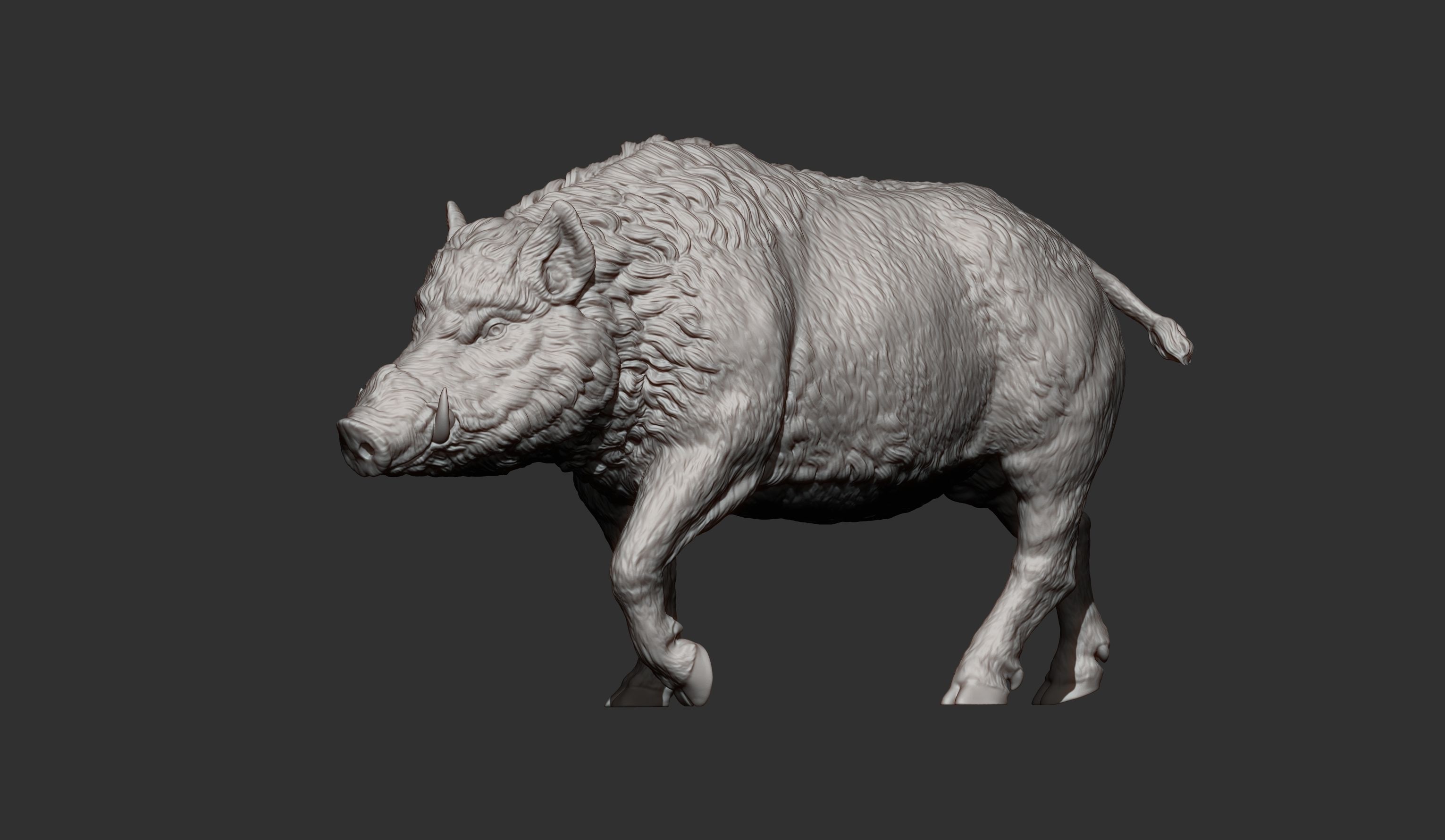 A wild boar 3D model 3D printable | CGTrader