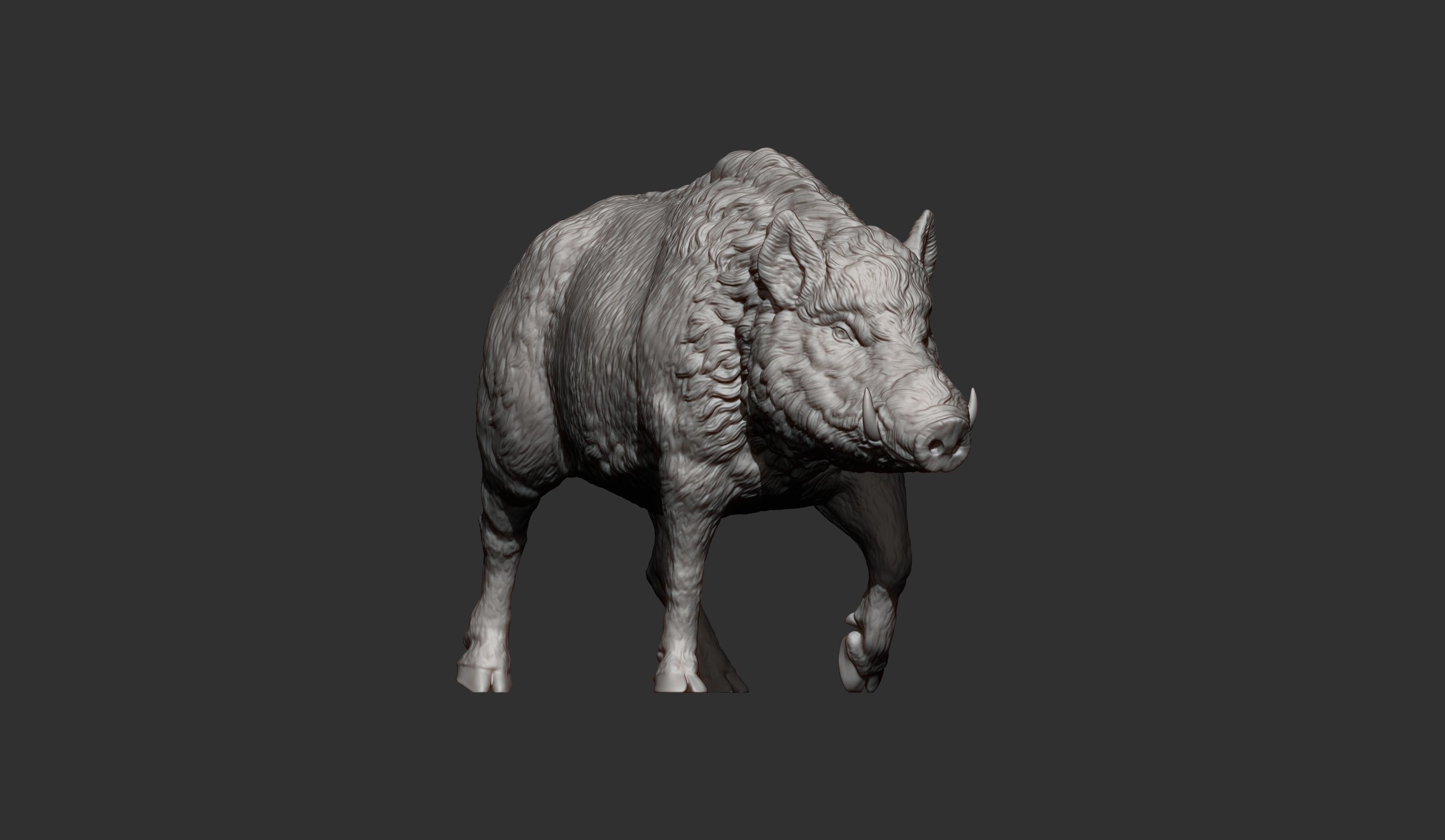 A wild boar 3D model 3D printable | CGTrader