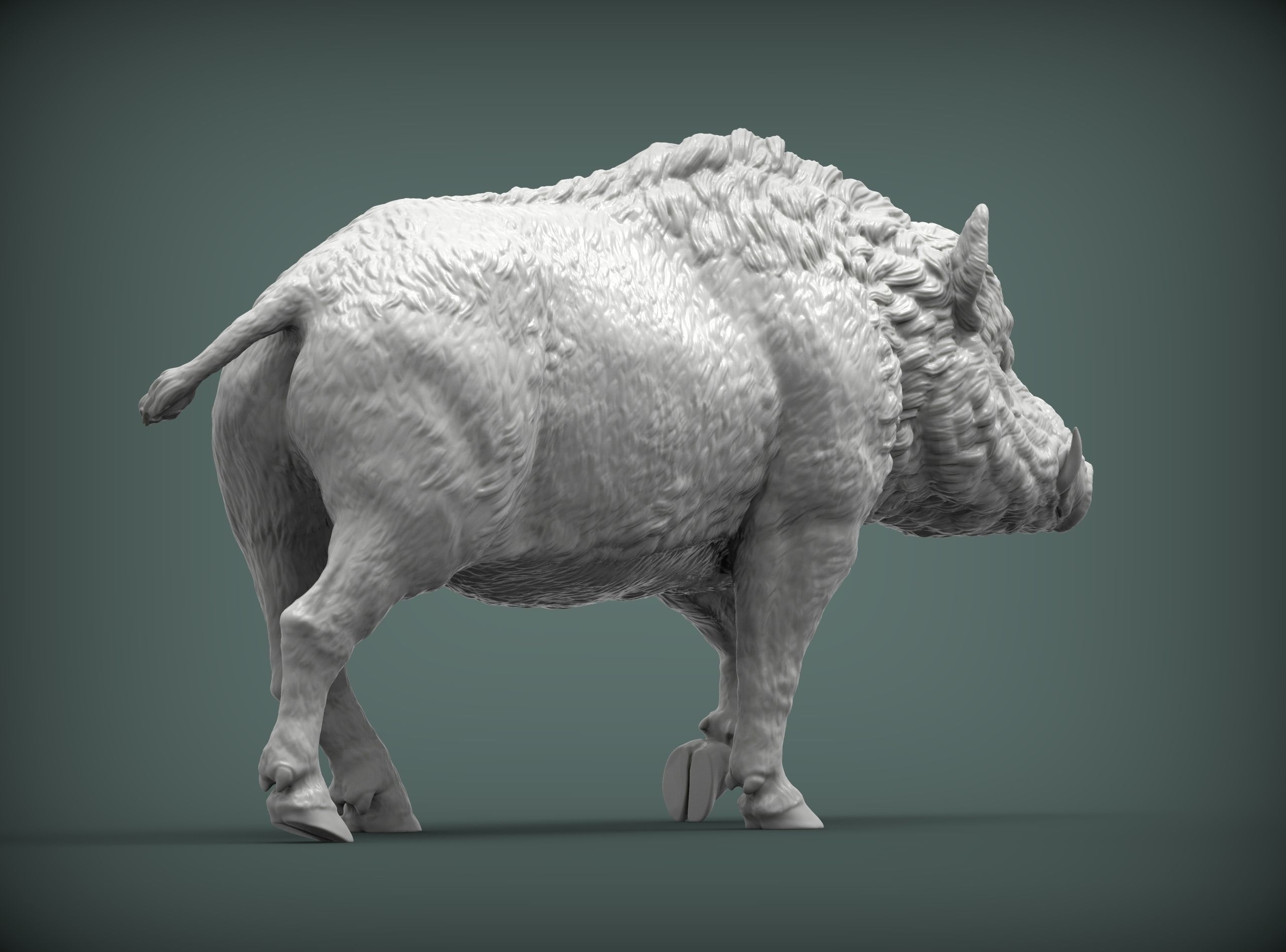 A wild boar 3D model 3D printable | CGTrader