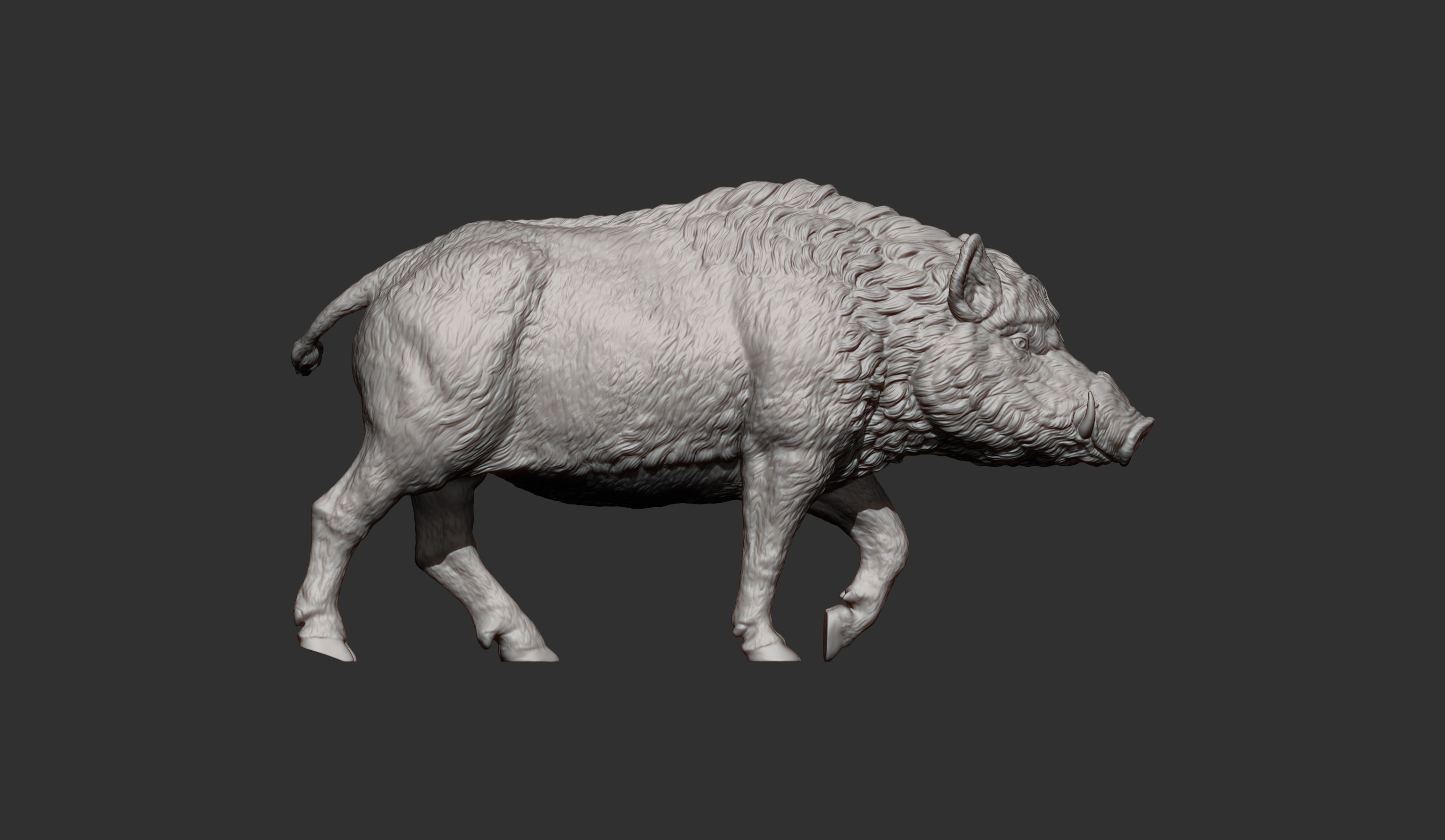 A wild boar 3D model 3D printable | CGTrader