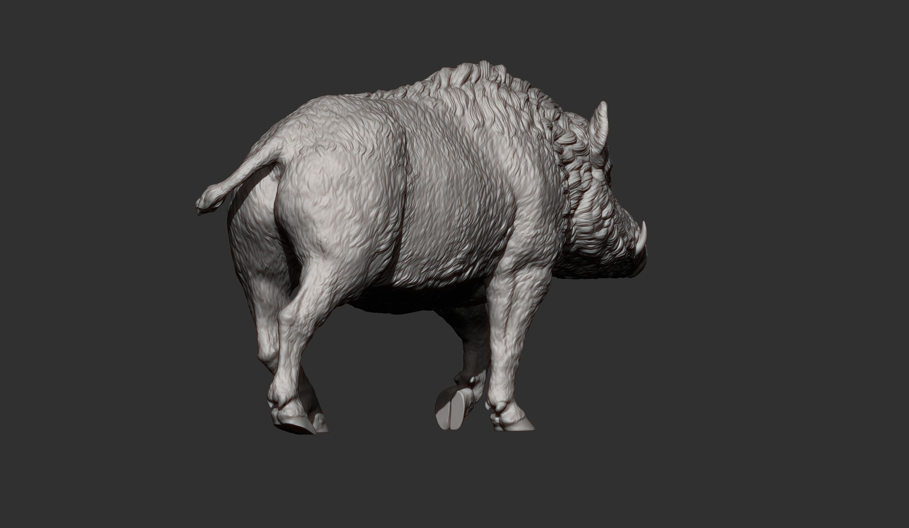 A wild boar 3D model 3D printable | CGTrader