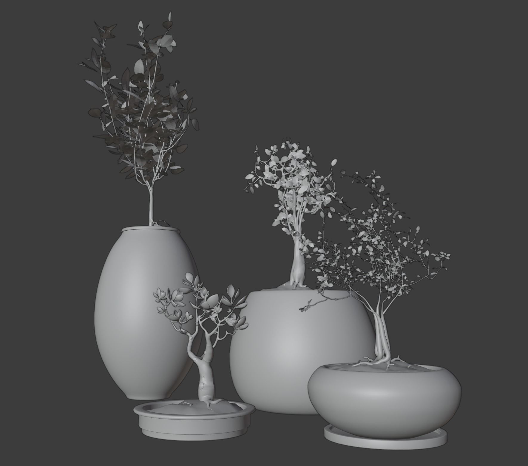 Plants bonsai collection 3D model | CGTrader