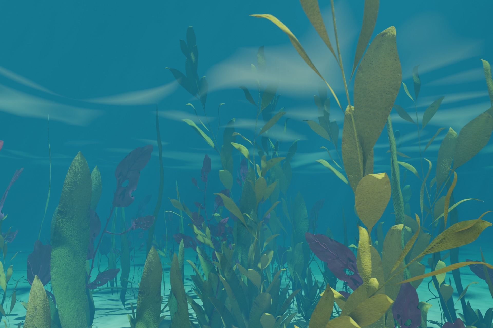 3D model Seaweed collection plants in water VR / AR / low-poly | CGTrader