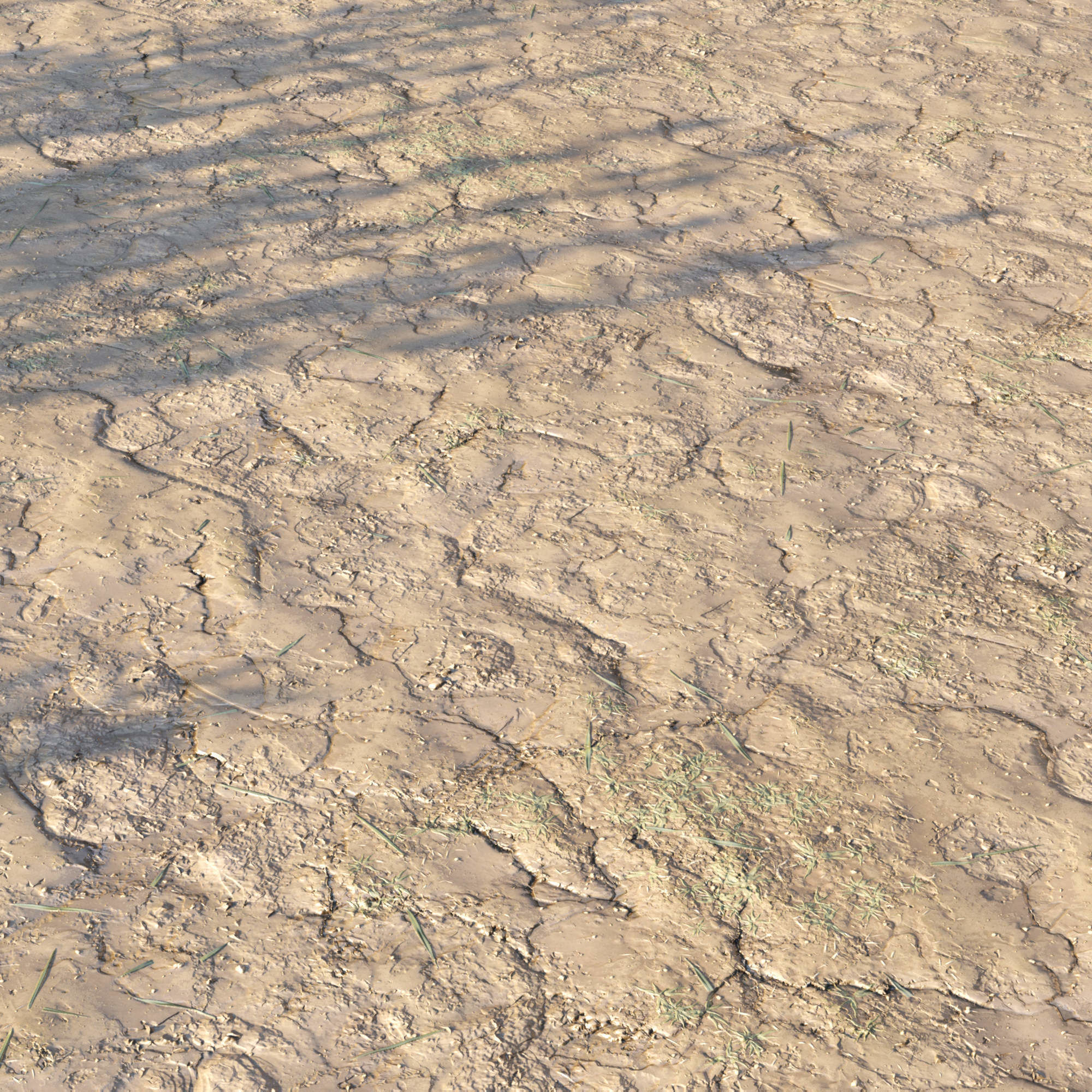 Texture Mrf Ground Mud01 VR / AR / low-poly | CGTrader