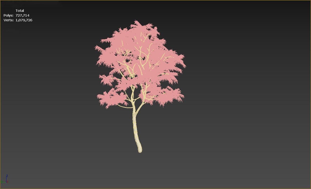 Japanese Walnut Tree free 3D model | CGTrader
