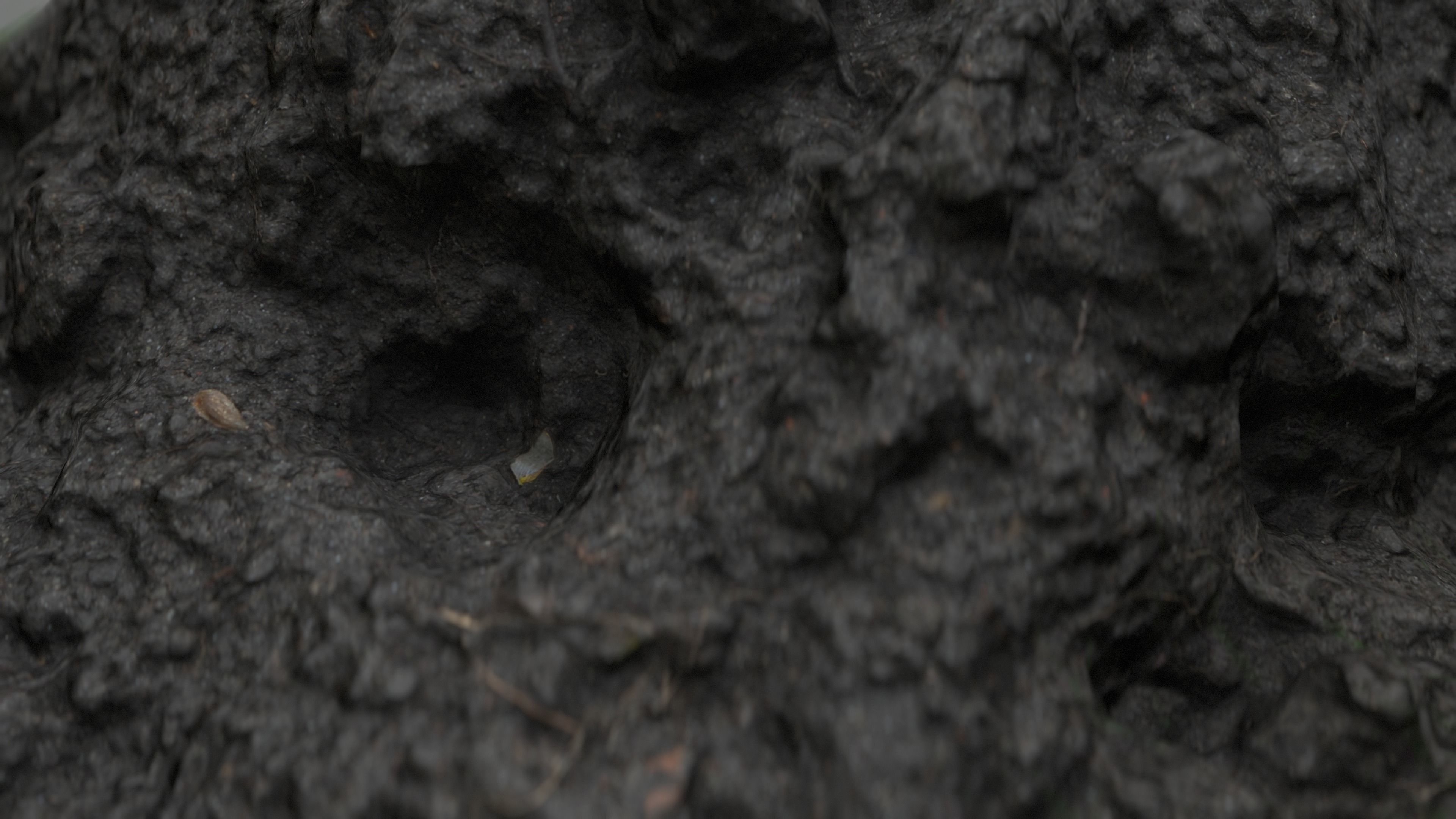 3D model Molehill piece of dirt VR / AR / low-poly | CGTrader