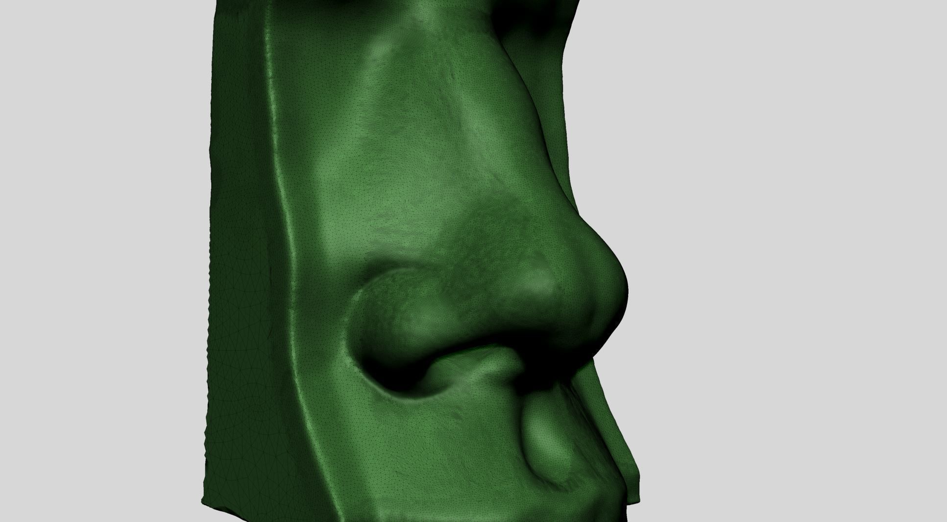 Nose Model with Different Types 3D model | CGTrader