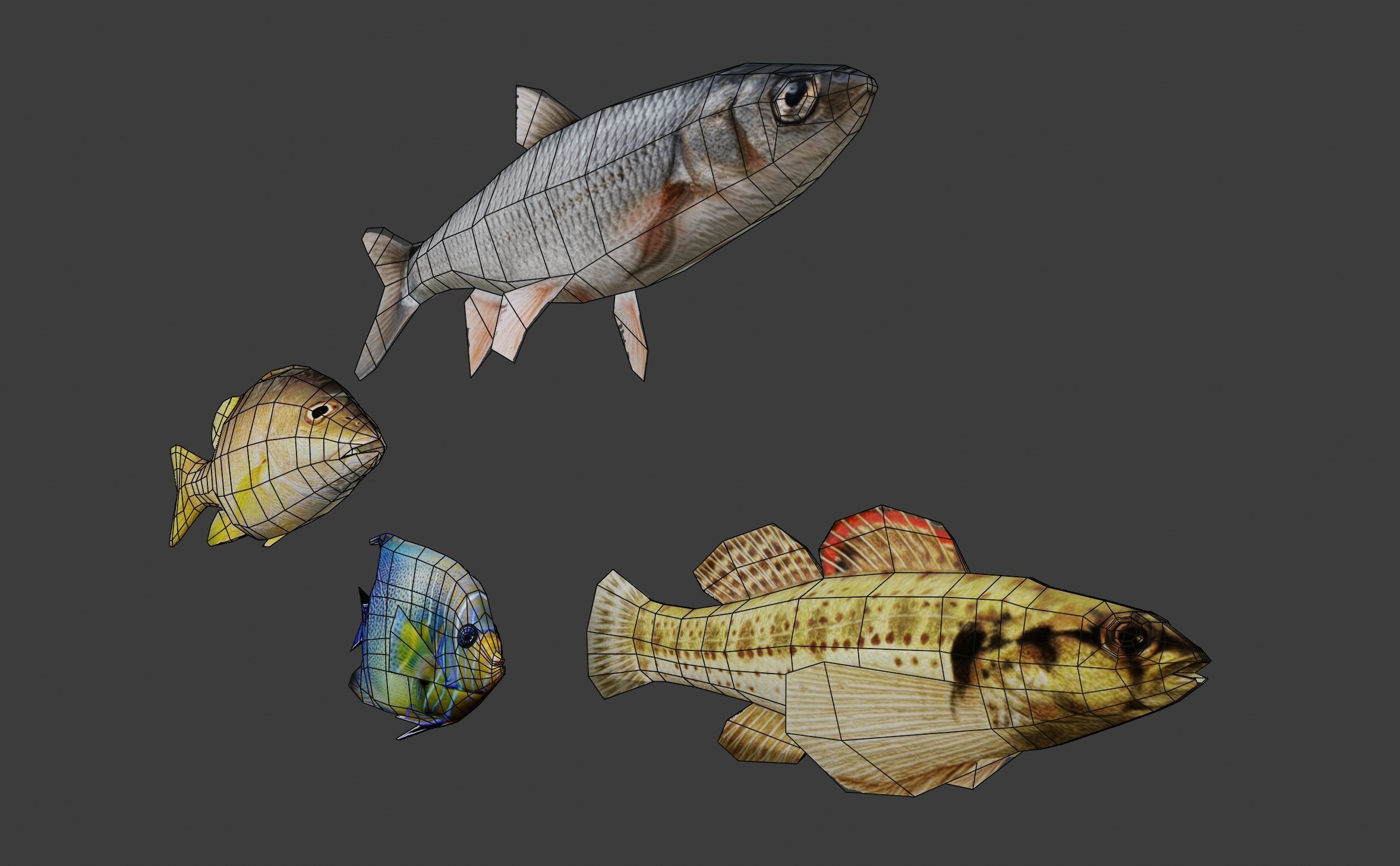 3D model Fish collection low-poly fishes VR / AR / low-poly | CGTrader