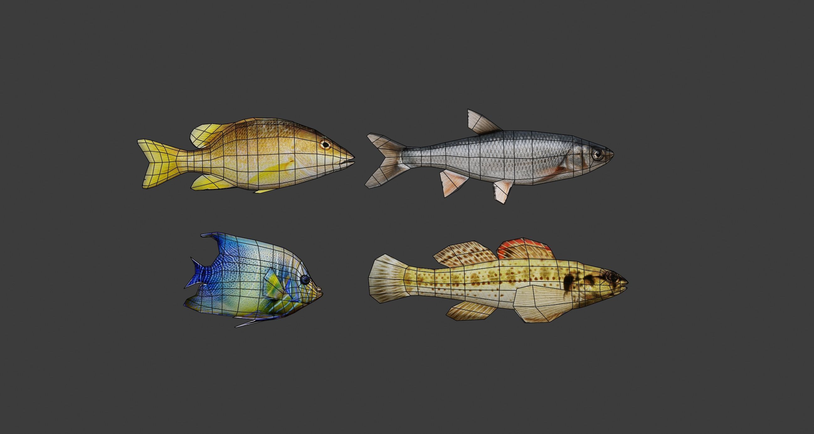 3D model Fish collection low-poly fishes VR / AR / low-poly | CGTrader