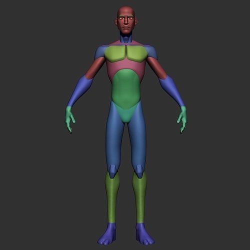 Skinny Basemesh 3D model | CGTrader