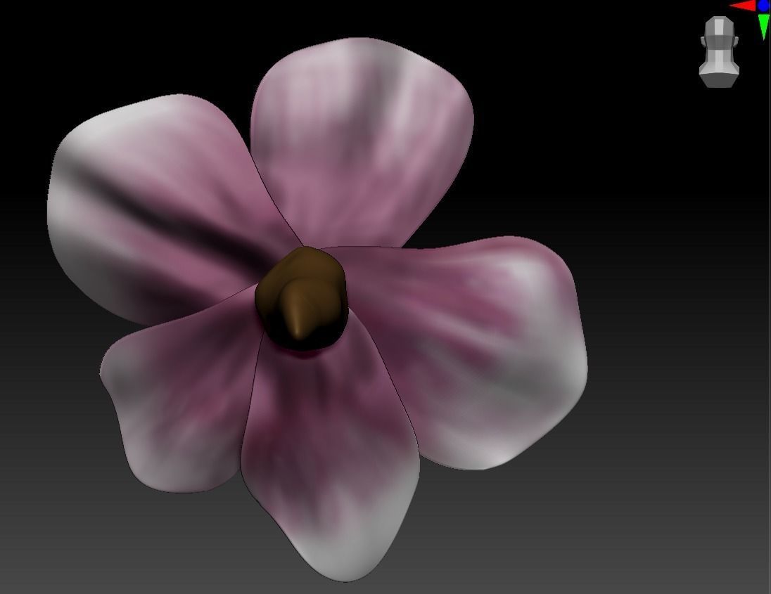 Magnolia Flower 3D model | CGTrader