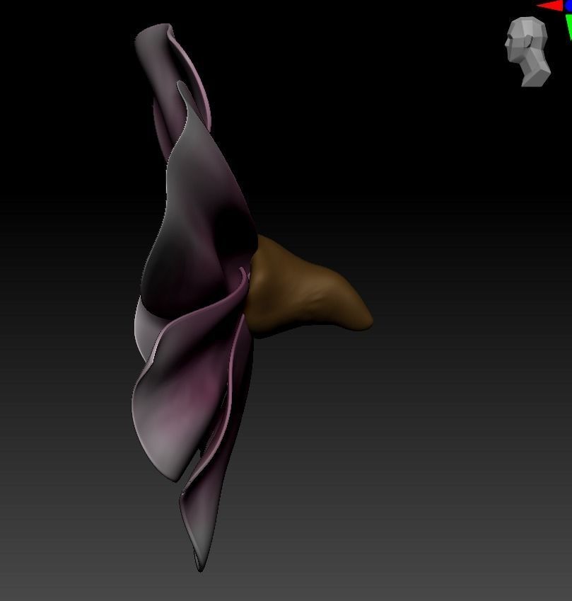 Magnolia Flower 3D model | CGTrader
