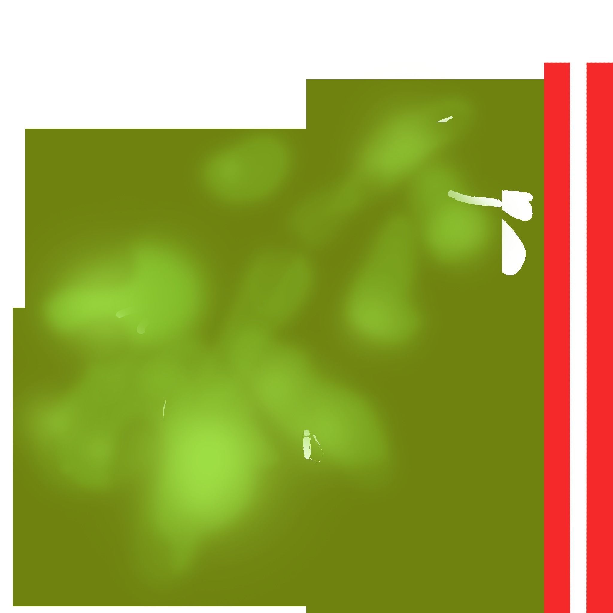 Sprig of mistletoe 3D model | CGTrader