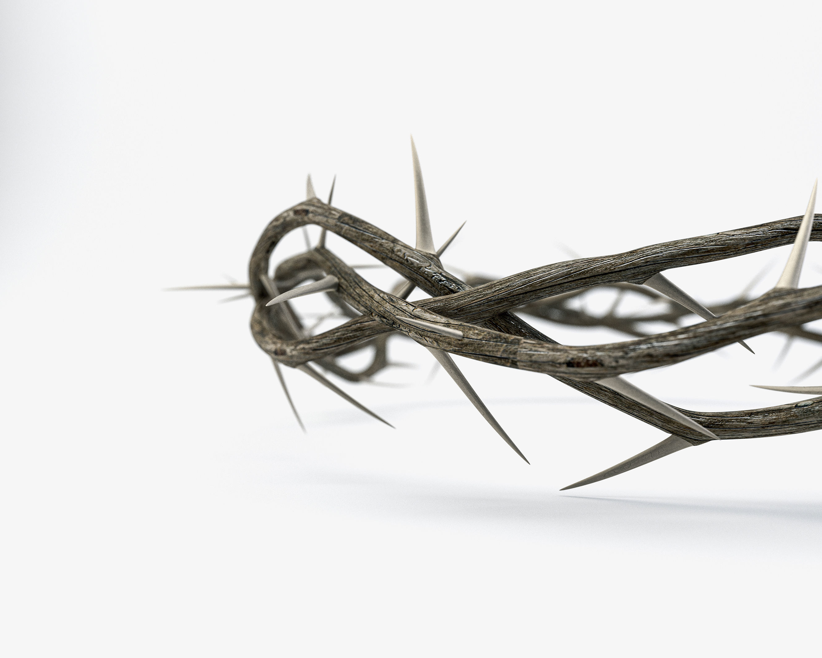 Crown Of Thorns 3D model | CGTrader