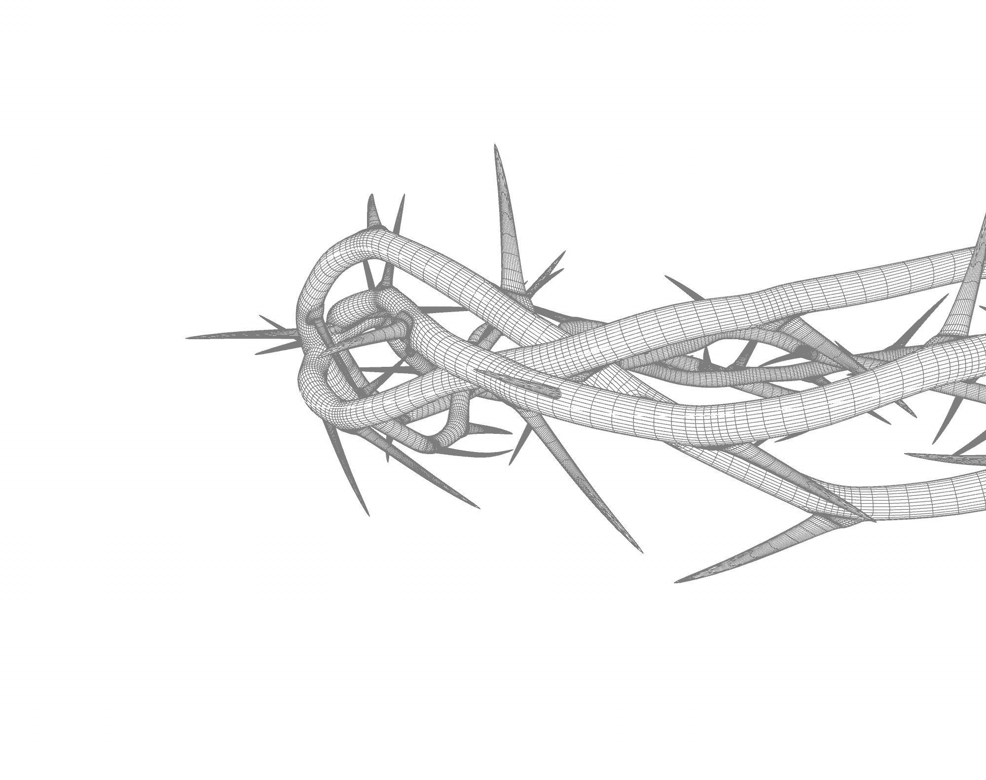 Crown Of Thorns 3D model | CGTrader