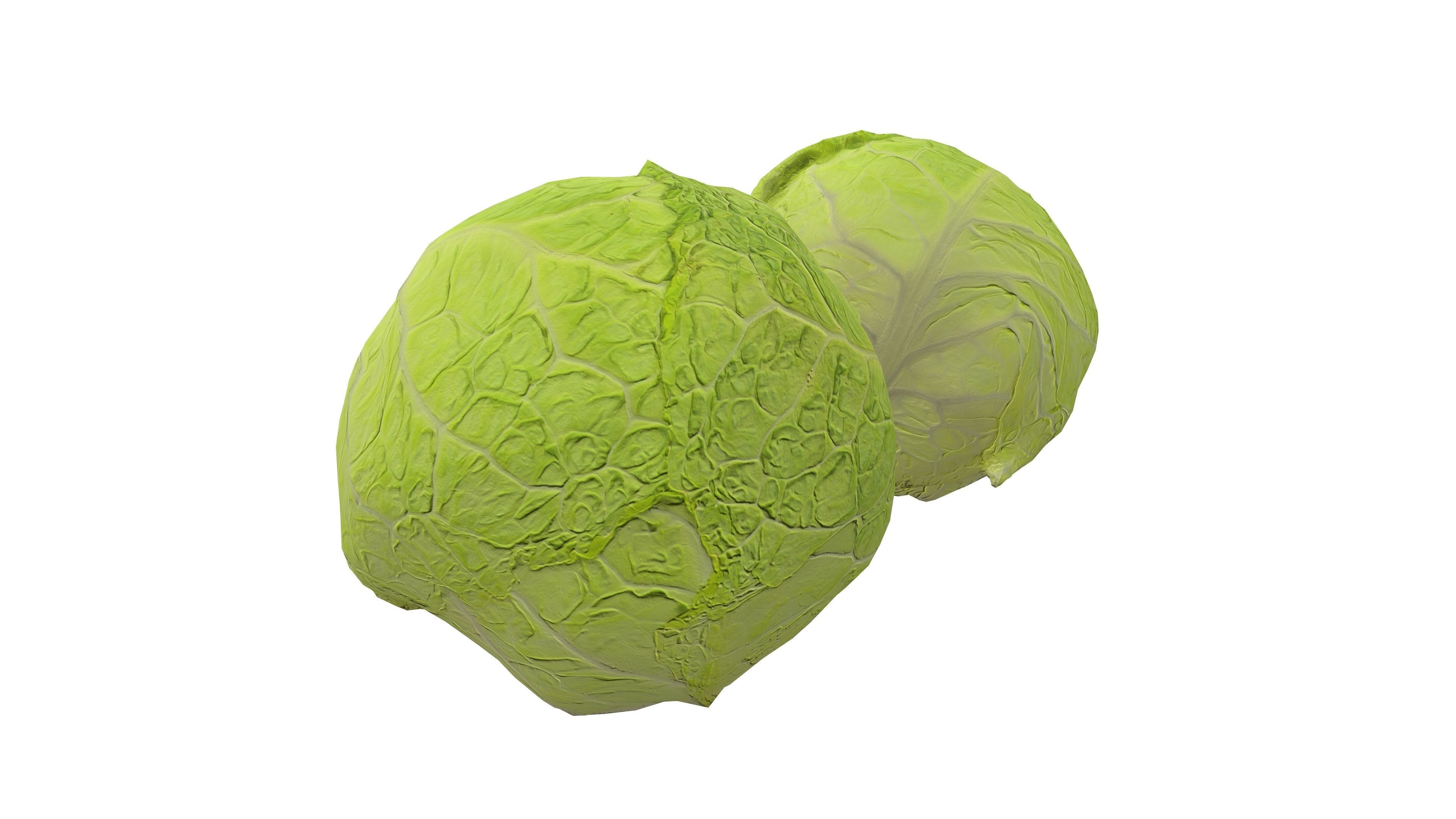3D model Cabbage Vegetable 3D Model AR VR PBR VR / AR / low-poly | CGTrader
