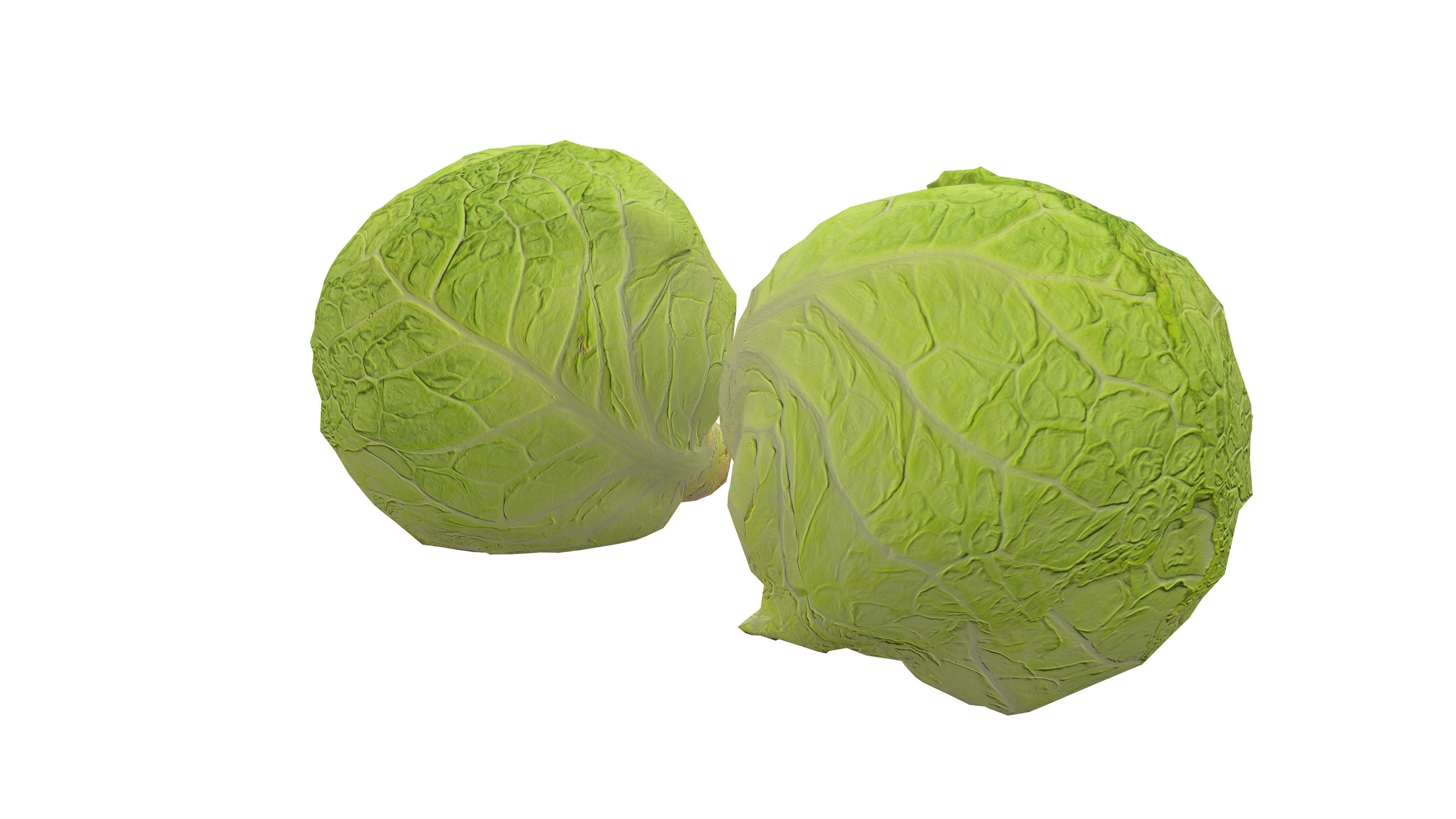 3D model Cabbage Vegetable 3D Model AR VR PBR VR / AR / low-poly | CGTrader