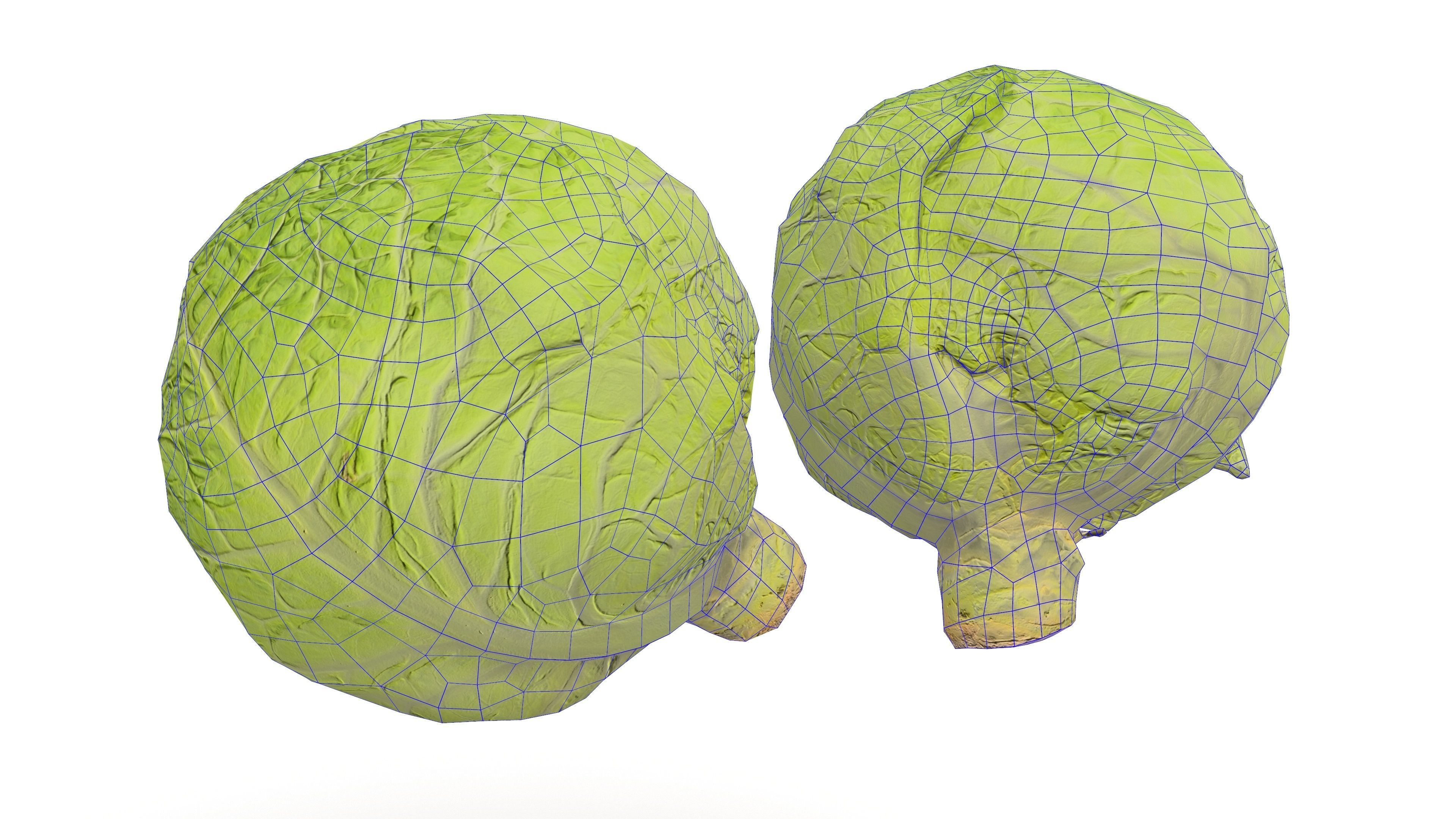 3D model Cabbage Vegetable 3D Model AR VR PBR VR / AR / low-poly | CGTrader