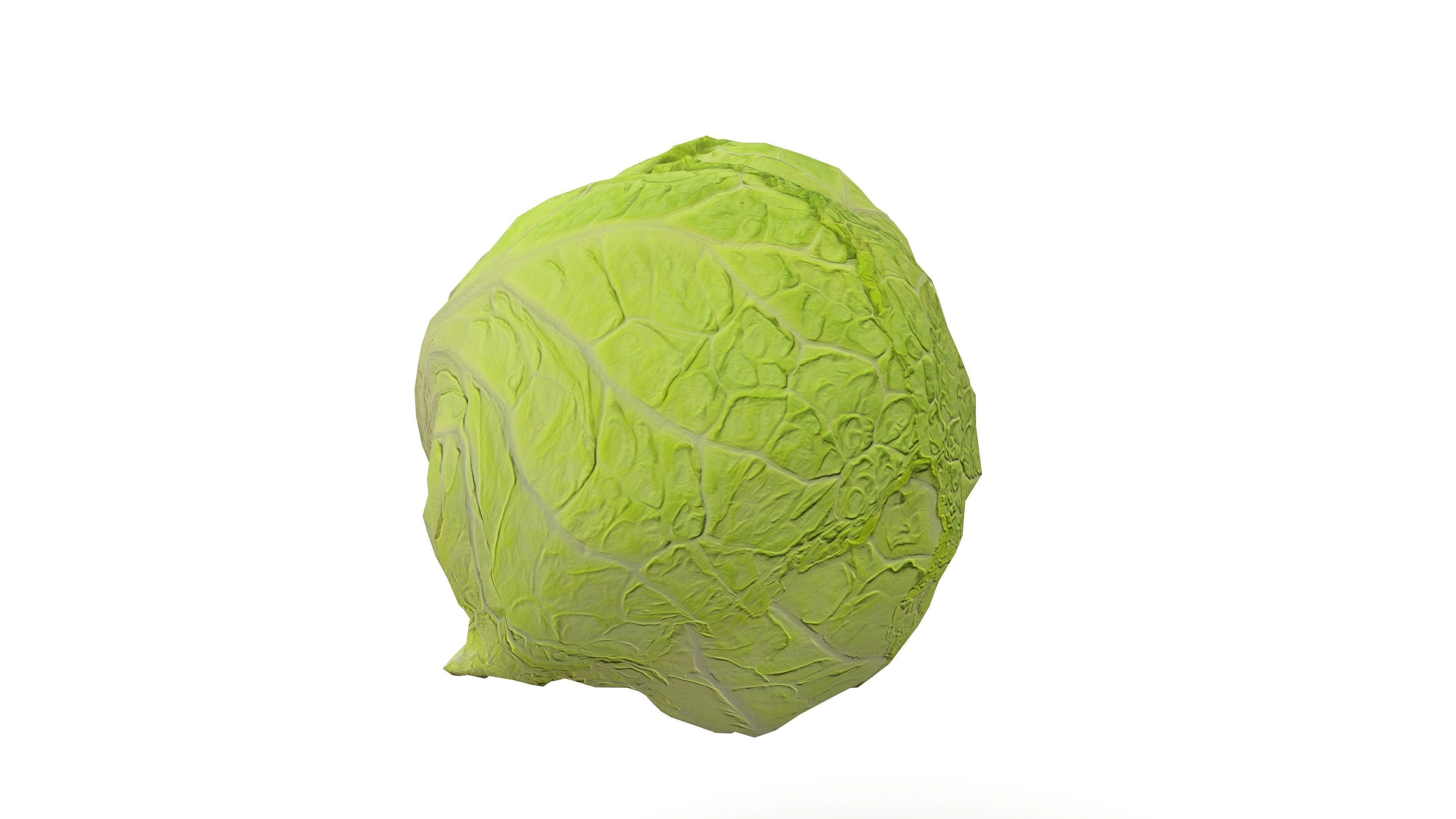 3D model Cabbage Vegetable 3D Model AR VR PBR VR / AR / low-poly | CGTrader