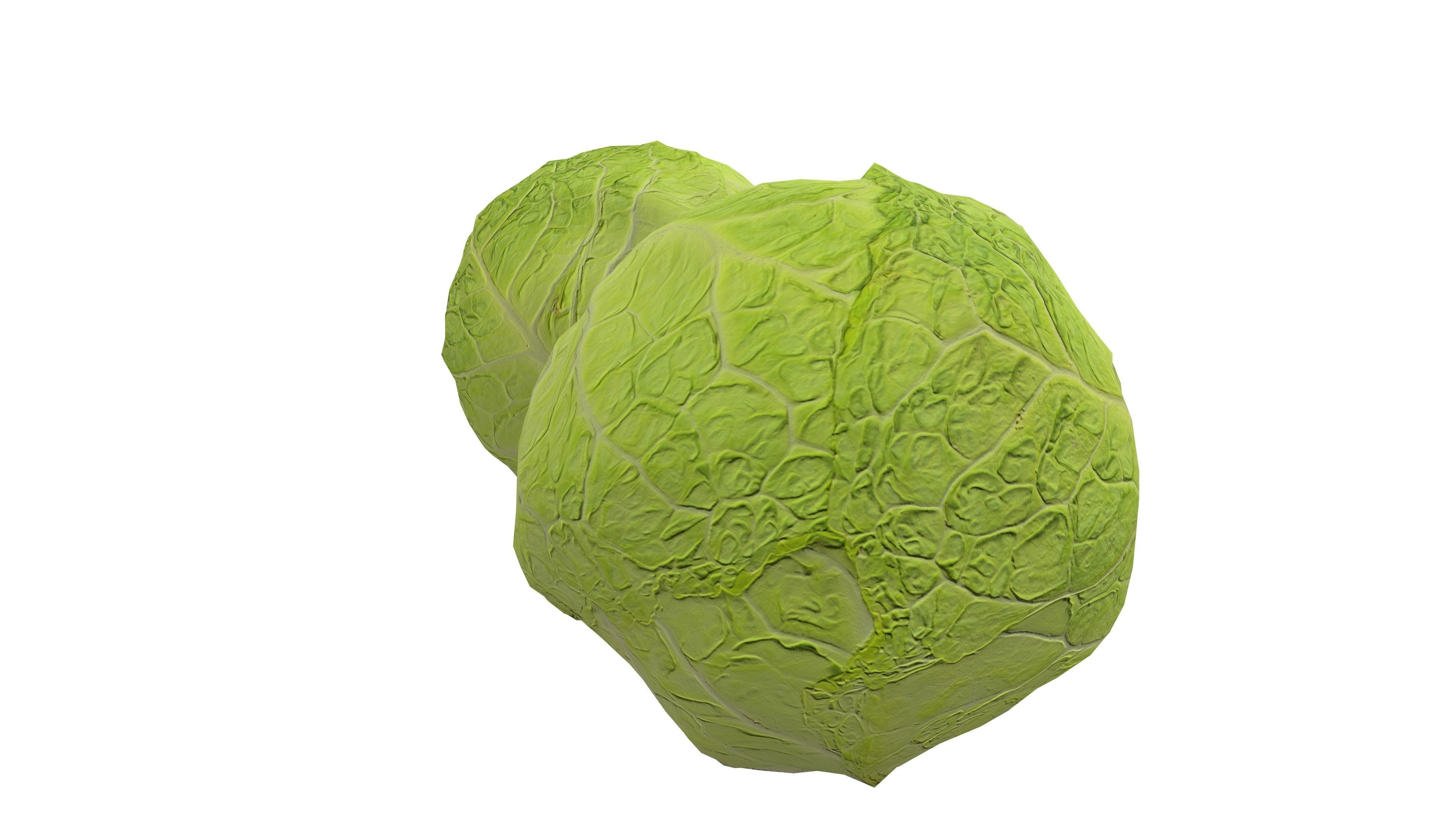 3D model Cabbage Vegetable 3D Model AR VR PBR VR / AR / low-poly | CGTrader