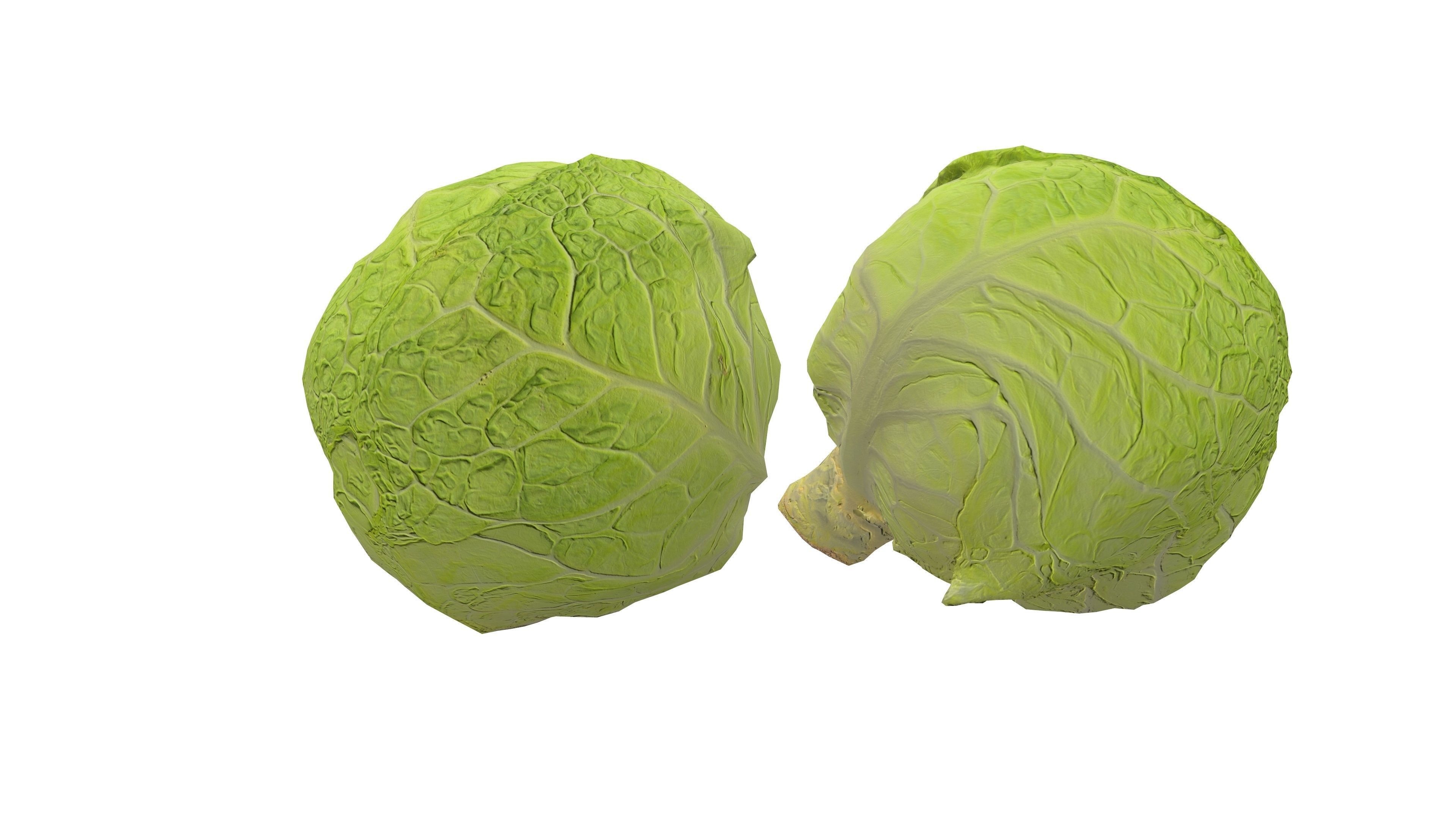 3D model Cabbage Vegetable 3D Model AR VR PBR VR / AR / low-poly | CGTrader