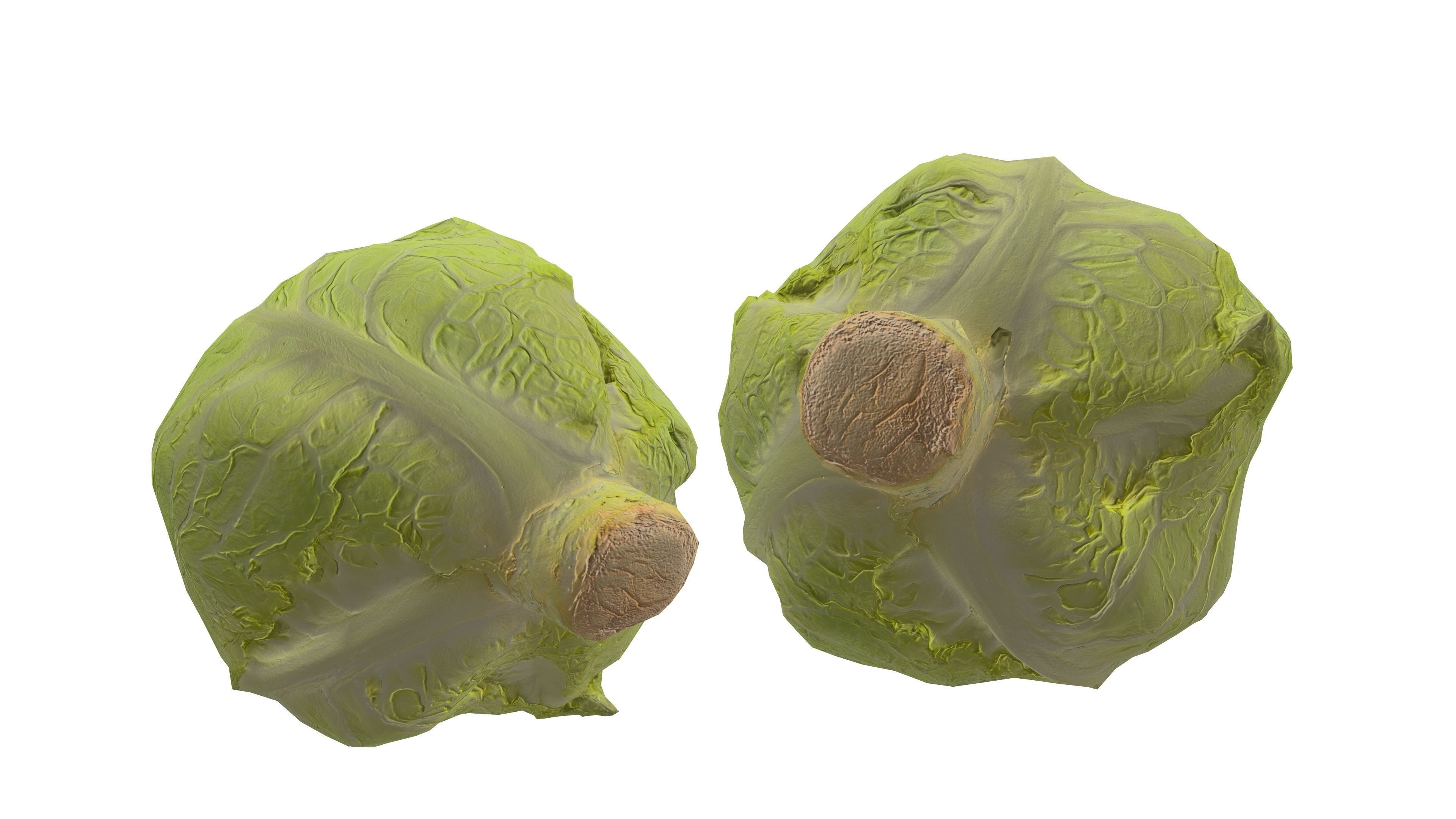 3D model Cabbage Vegetable 3D Model AR VR PBR VR / AR / low-poly | CGTrader
