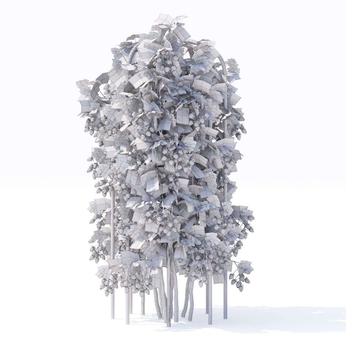 Bramble bush berry 3D model | CGTrader