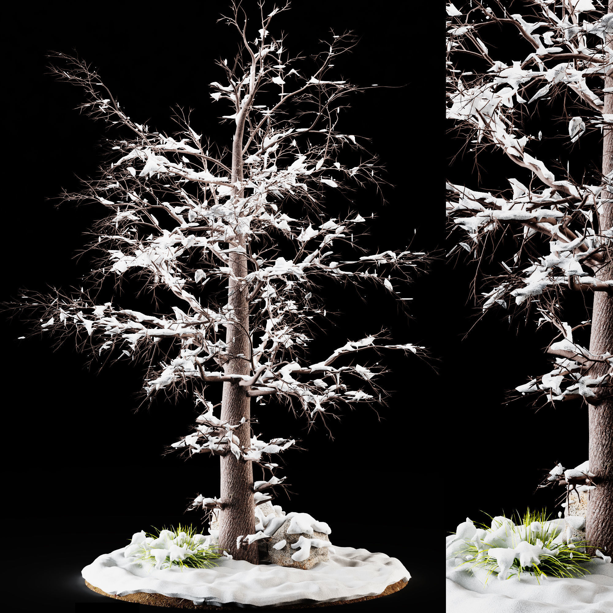 winter tree 01 3D model | CGTrader