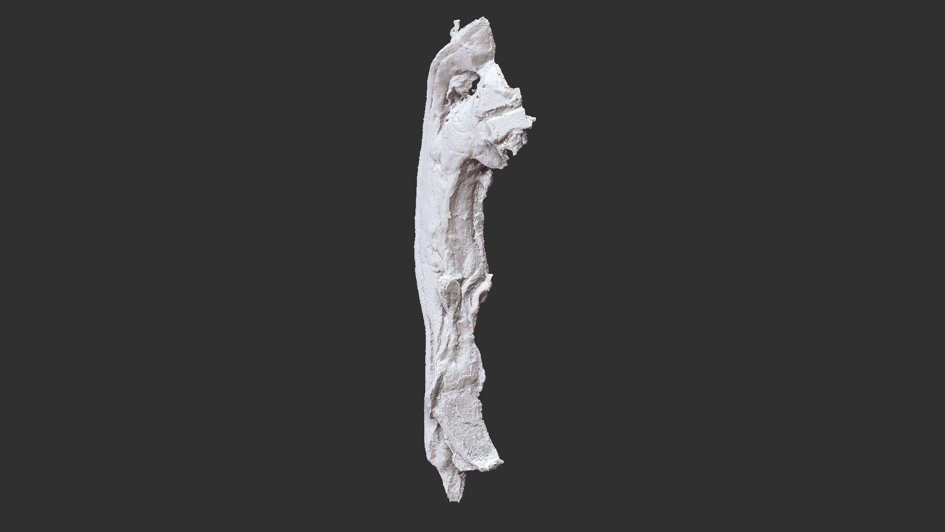 Hanging pork 3d Scan 3D model | CGTrader