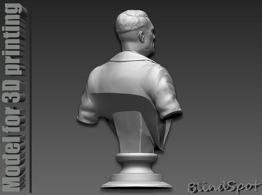 Adolf Hitler bust 3D model 3D printable | CGTrader