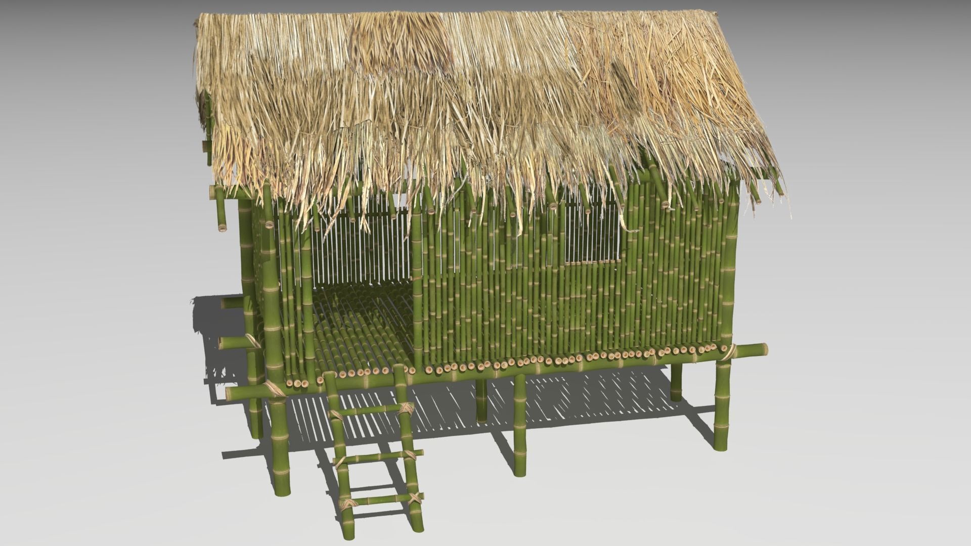 Jungle hut 3D model | CGTrader